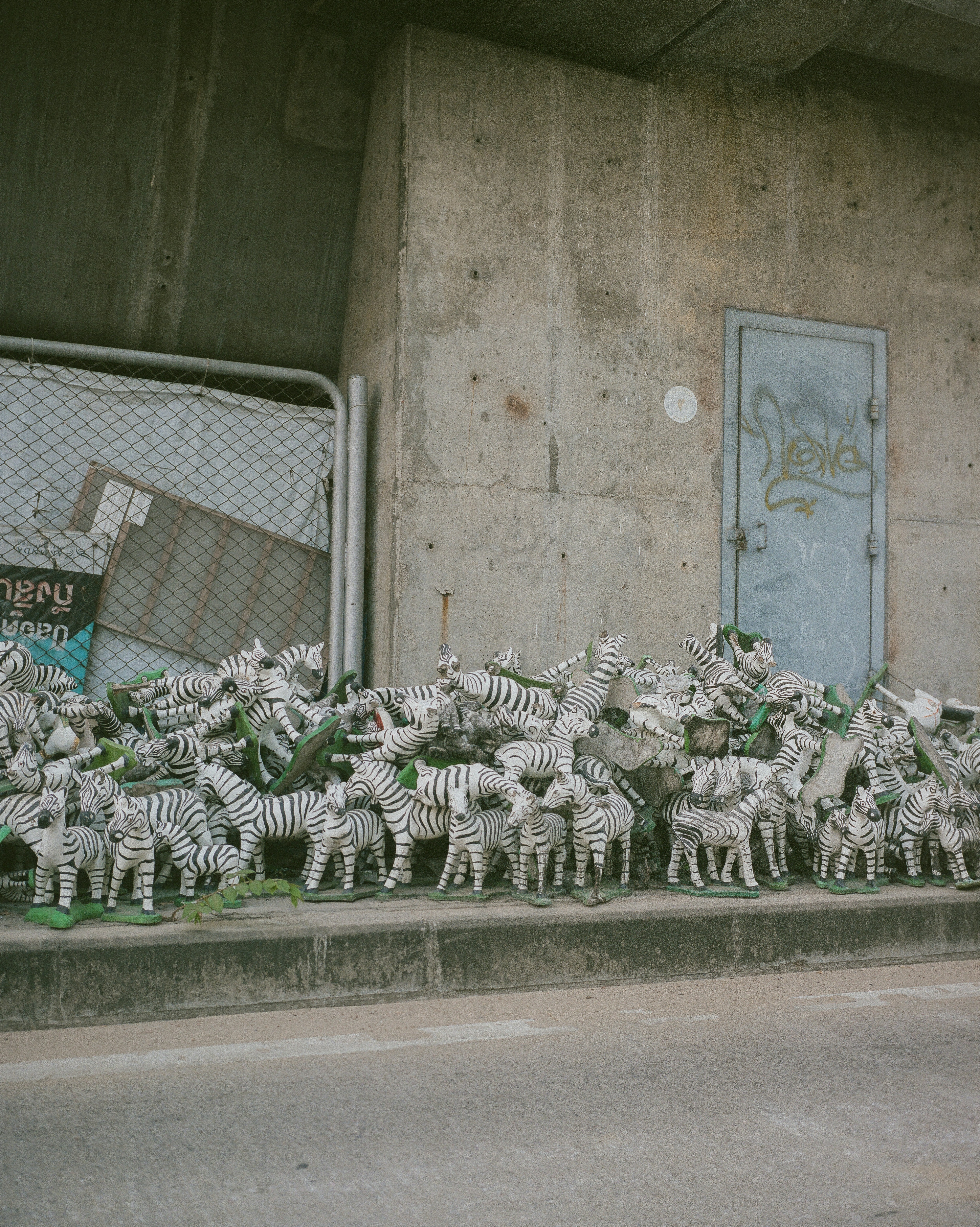 A bunch of fake zebras sitting on the side of a road photo – Free Art ...