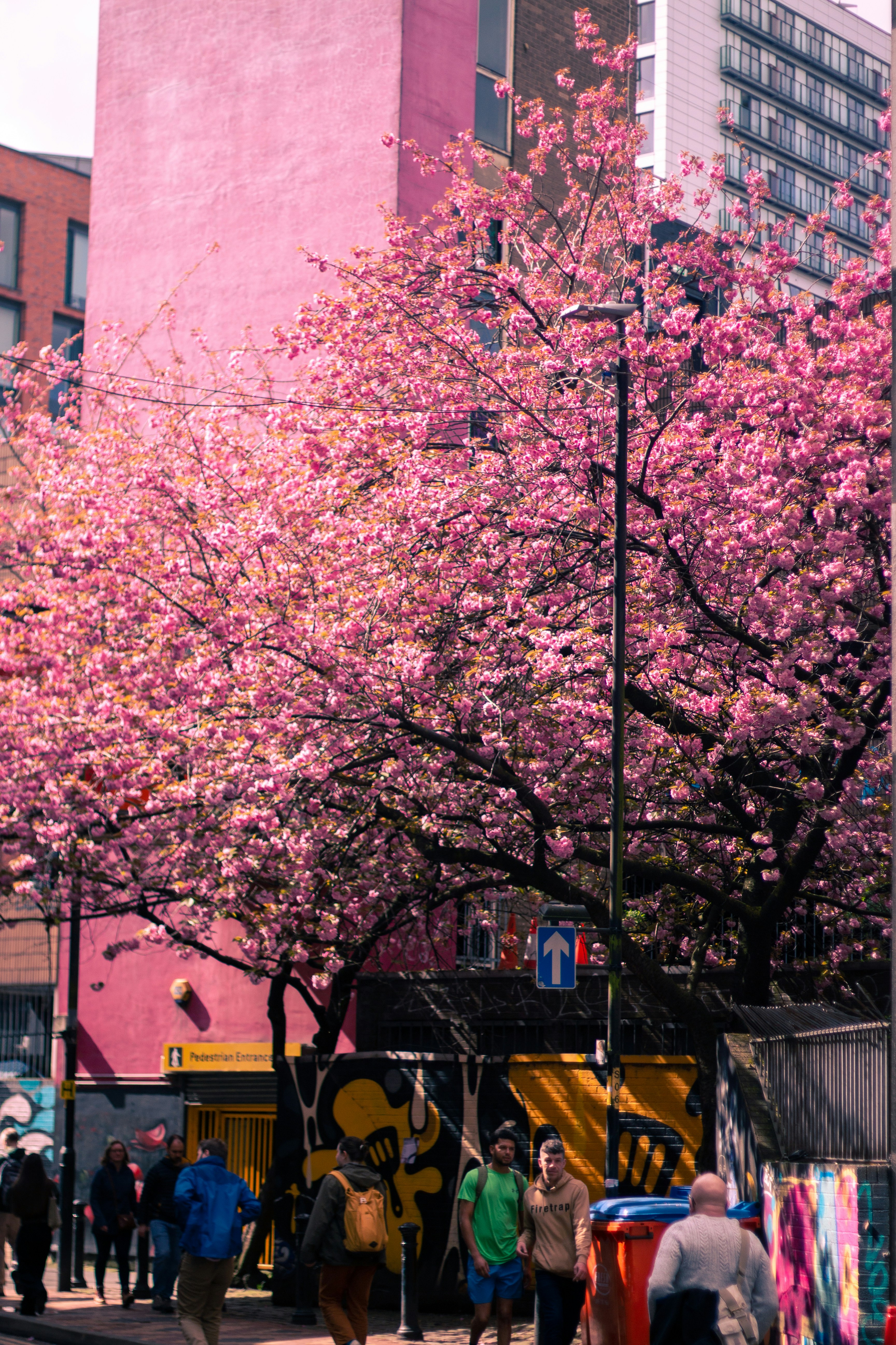 Photo by Kitty Hutchinson with Canon EOS M