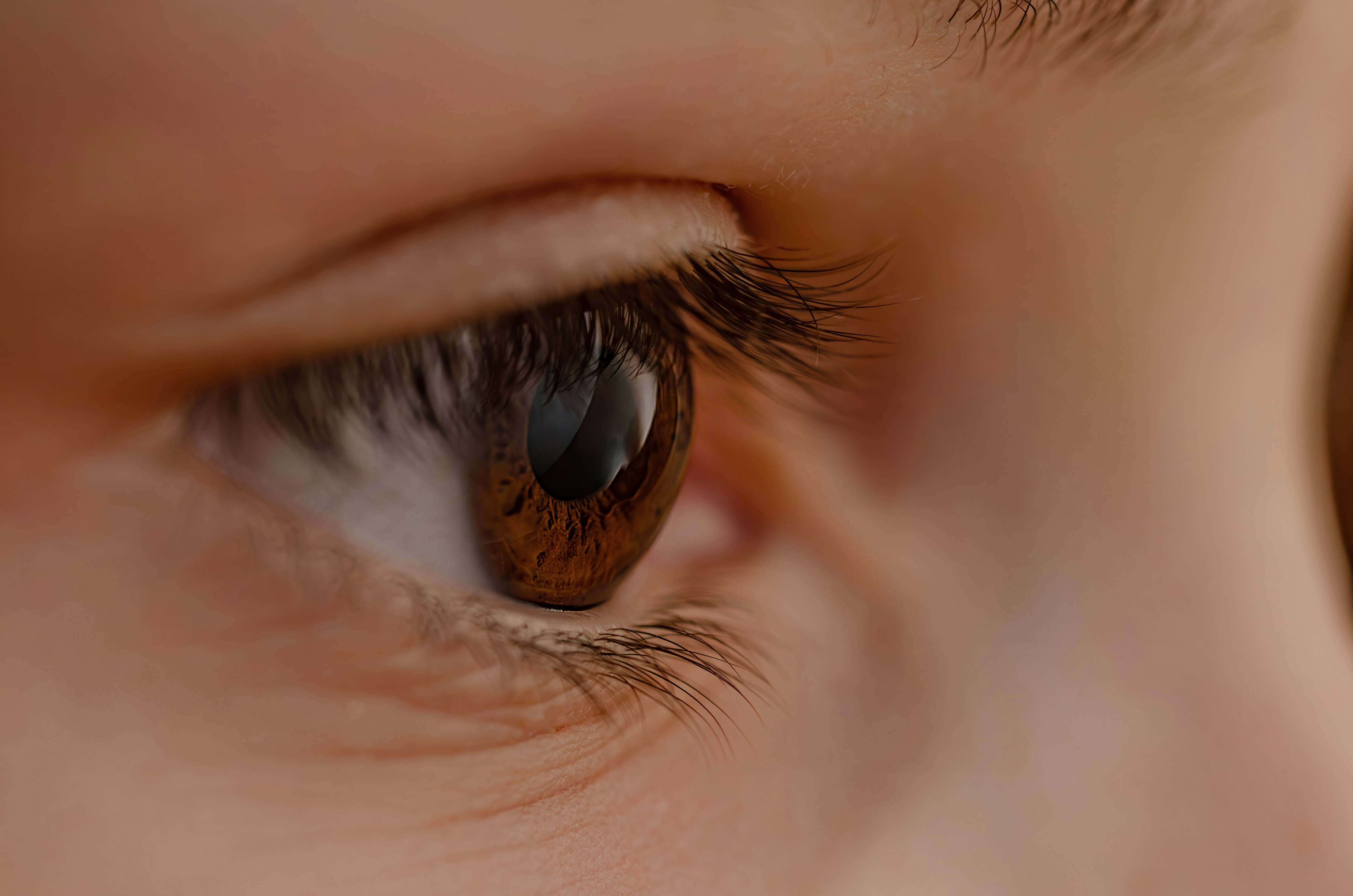 A close up of a person's brown eye photo – Free Human Image on Unsplash