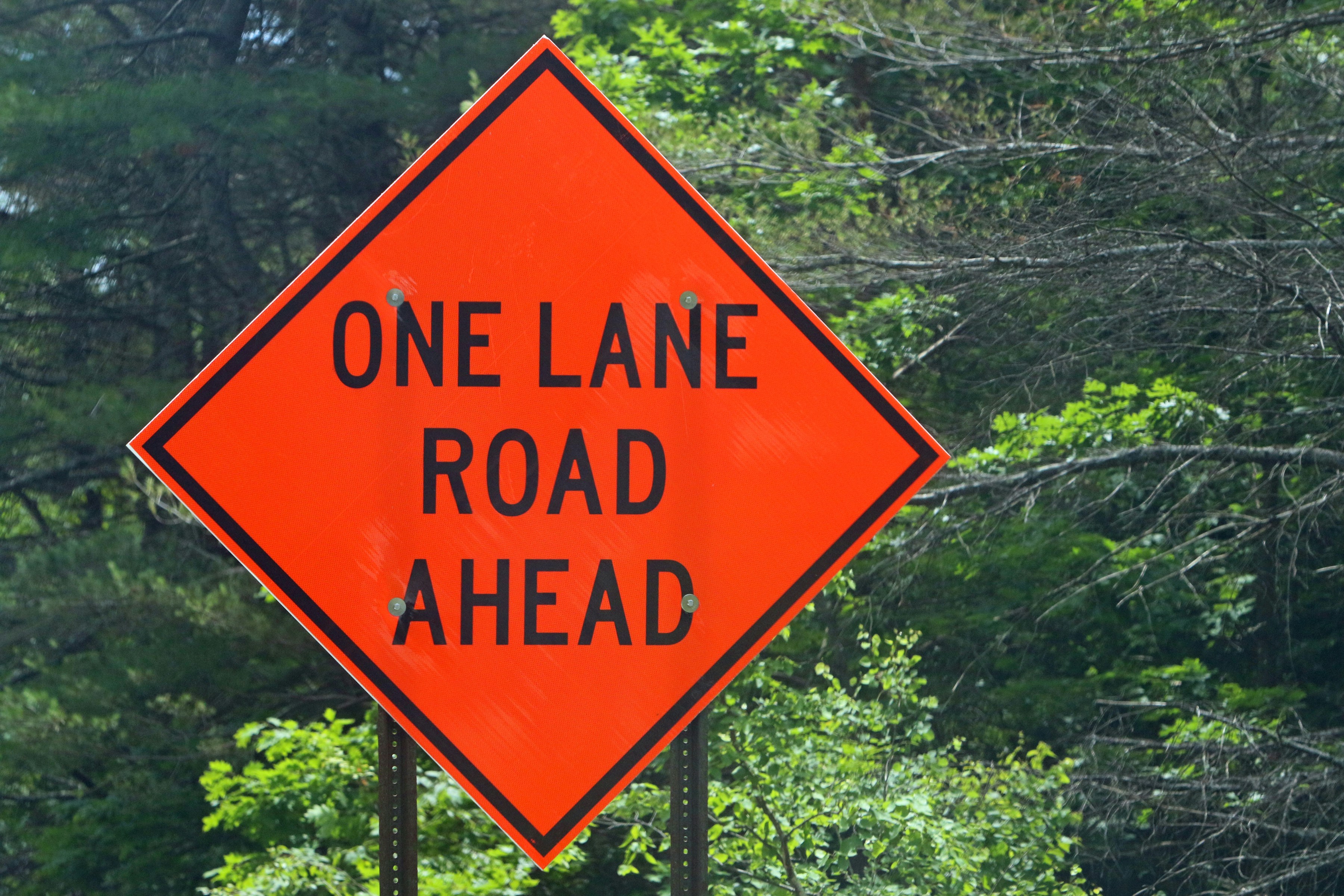 A one lane road ahead sign in front of trees photo – Free Traffic sign ...