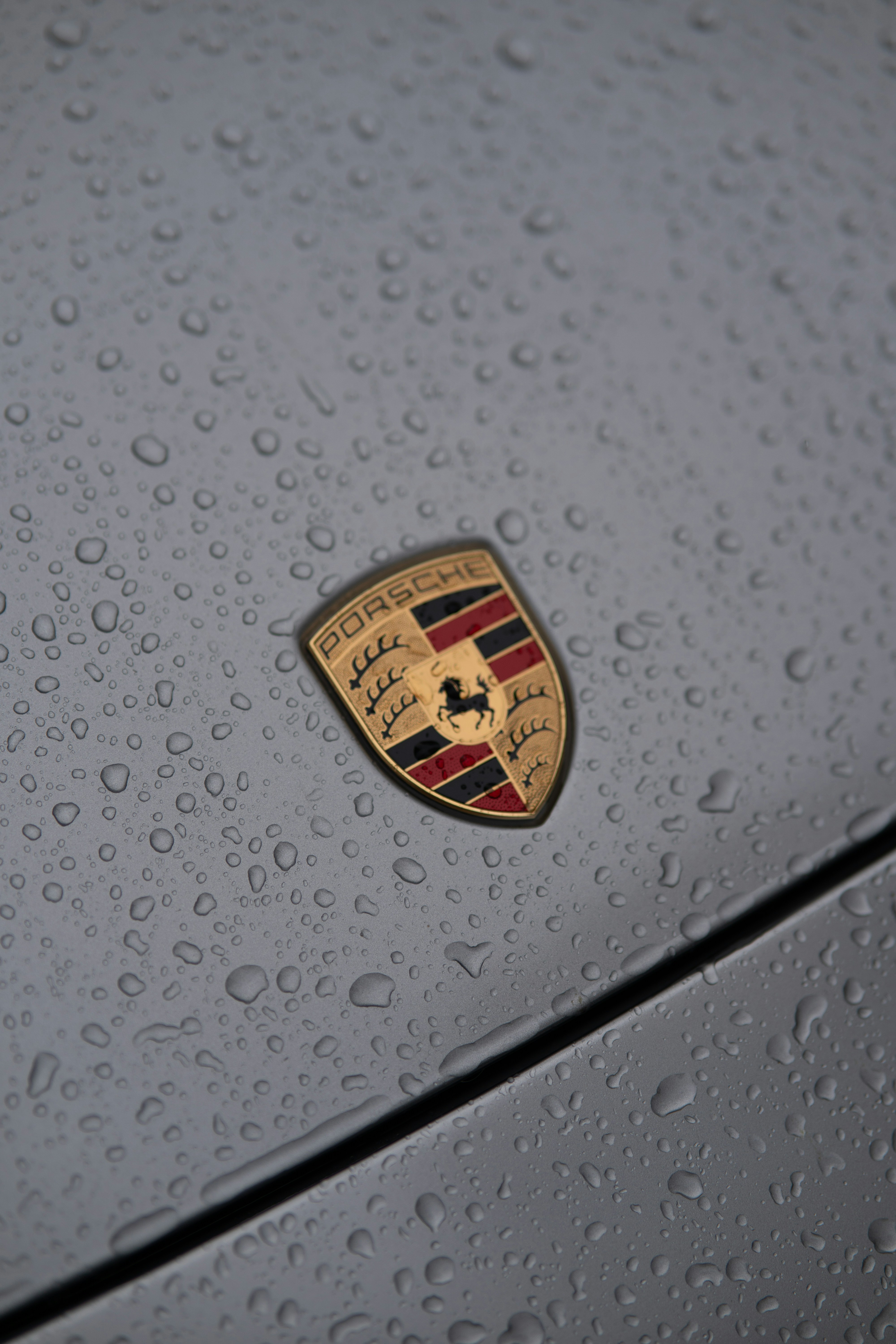 Porsche Crest Surrounded by Rain on a Silver Hood