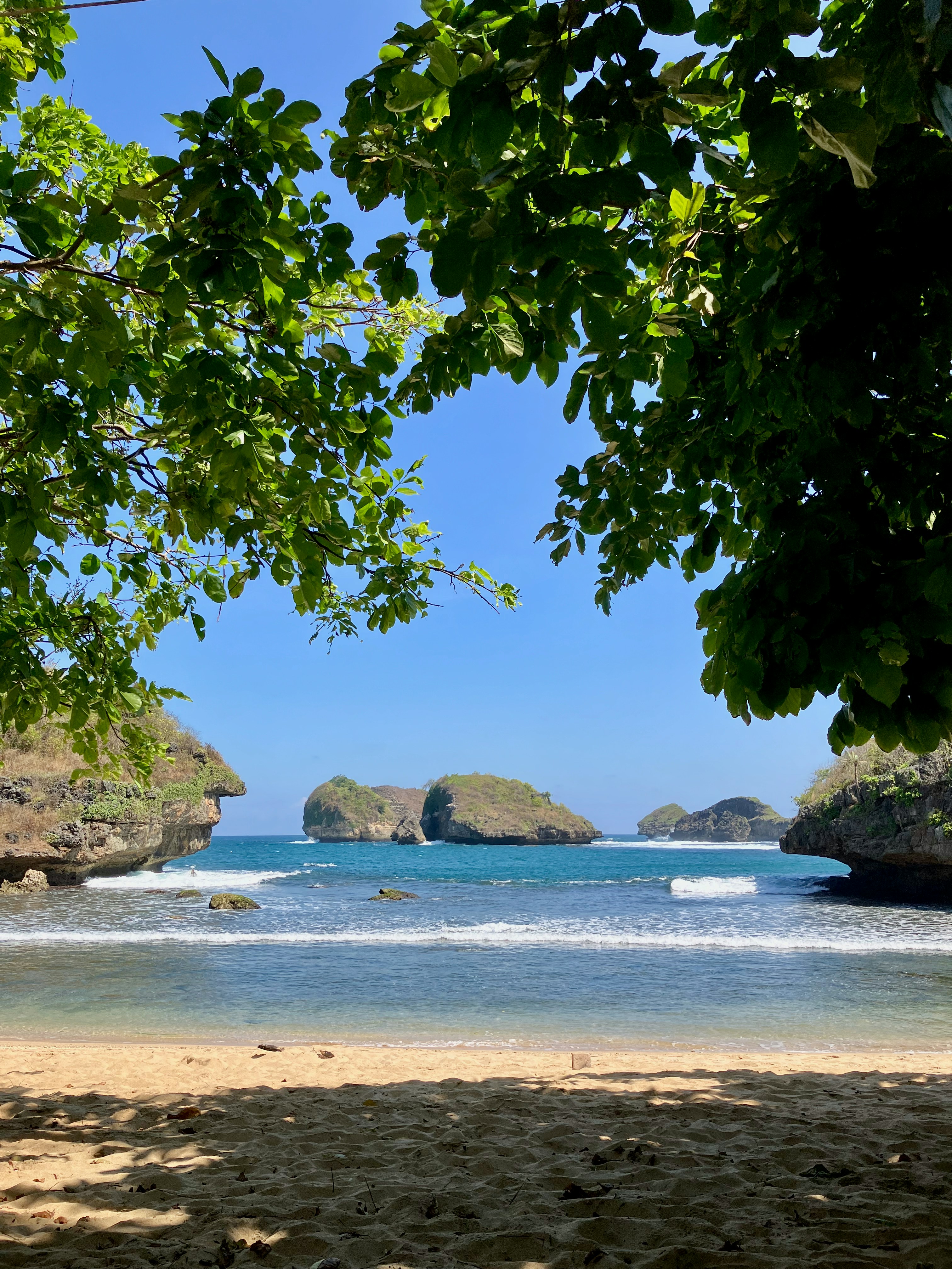 Framed by Green Canopy: a Secluded Beach with Rock Formations
