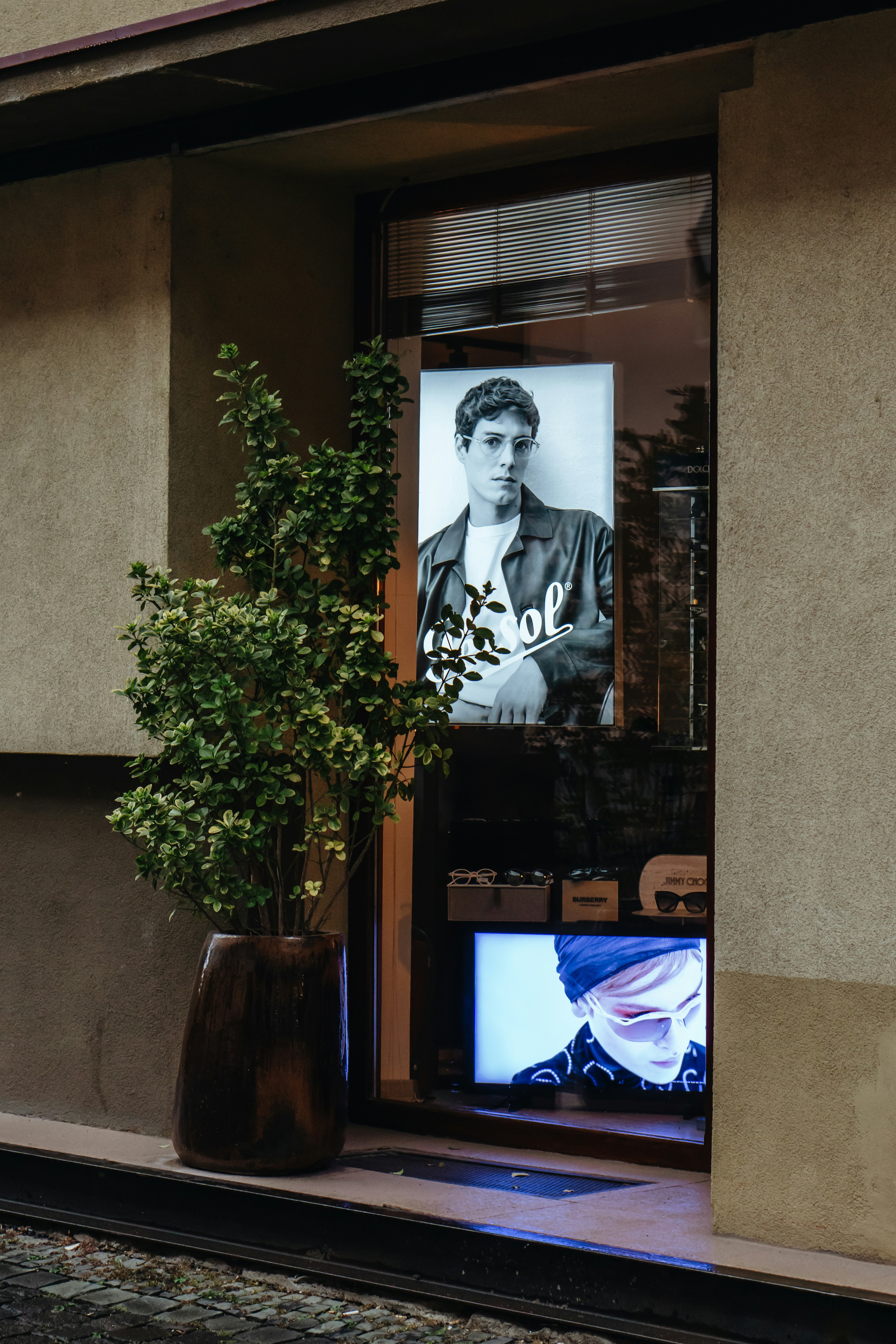 Monochrome Portrait in a Glass-Front Storefront Framed by a Greenery Pot