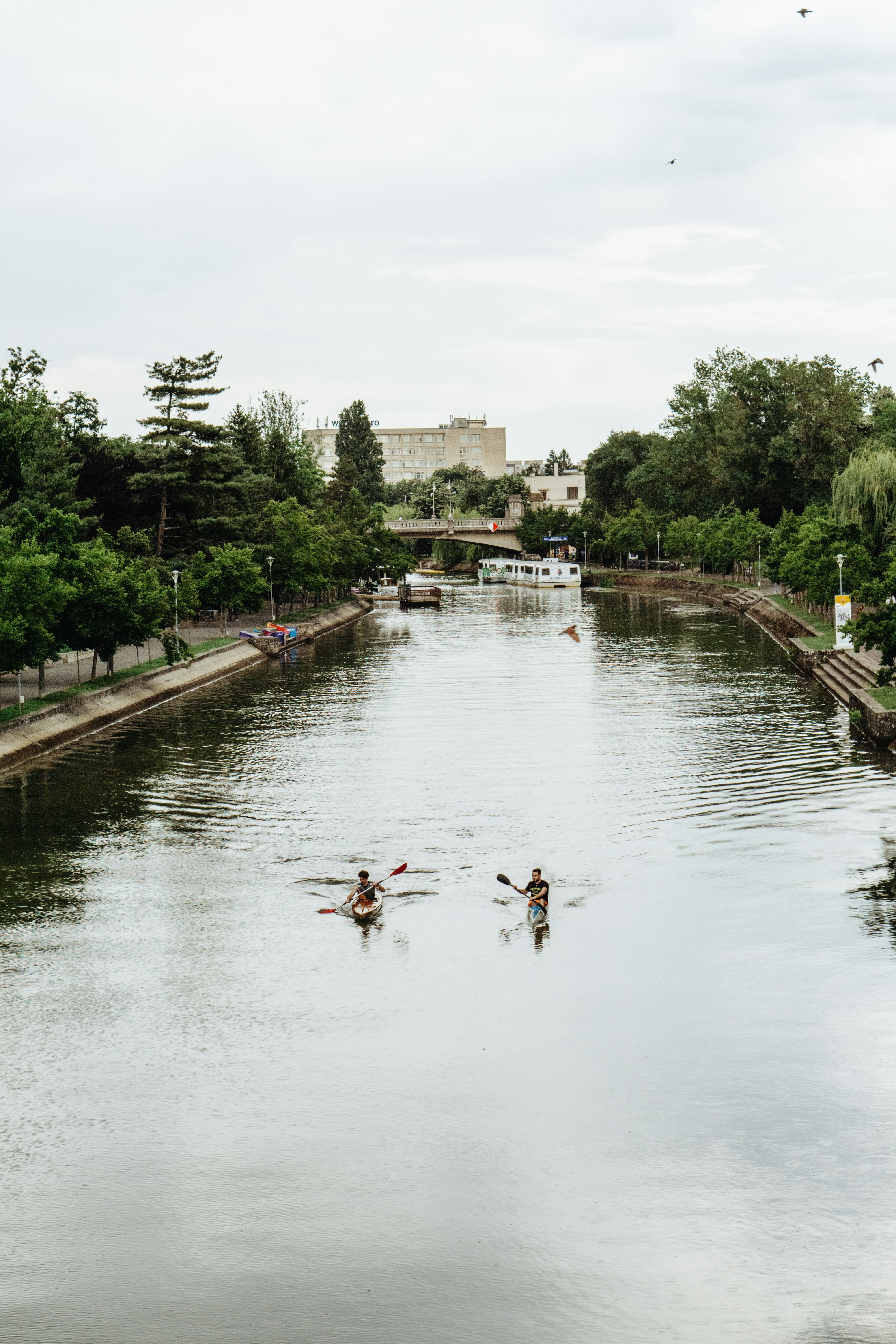 Duo on the Canal: Kayaks Cut Through a Quiet City Greenway