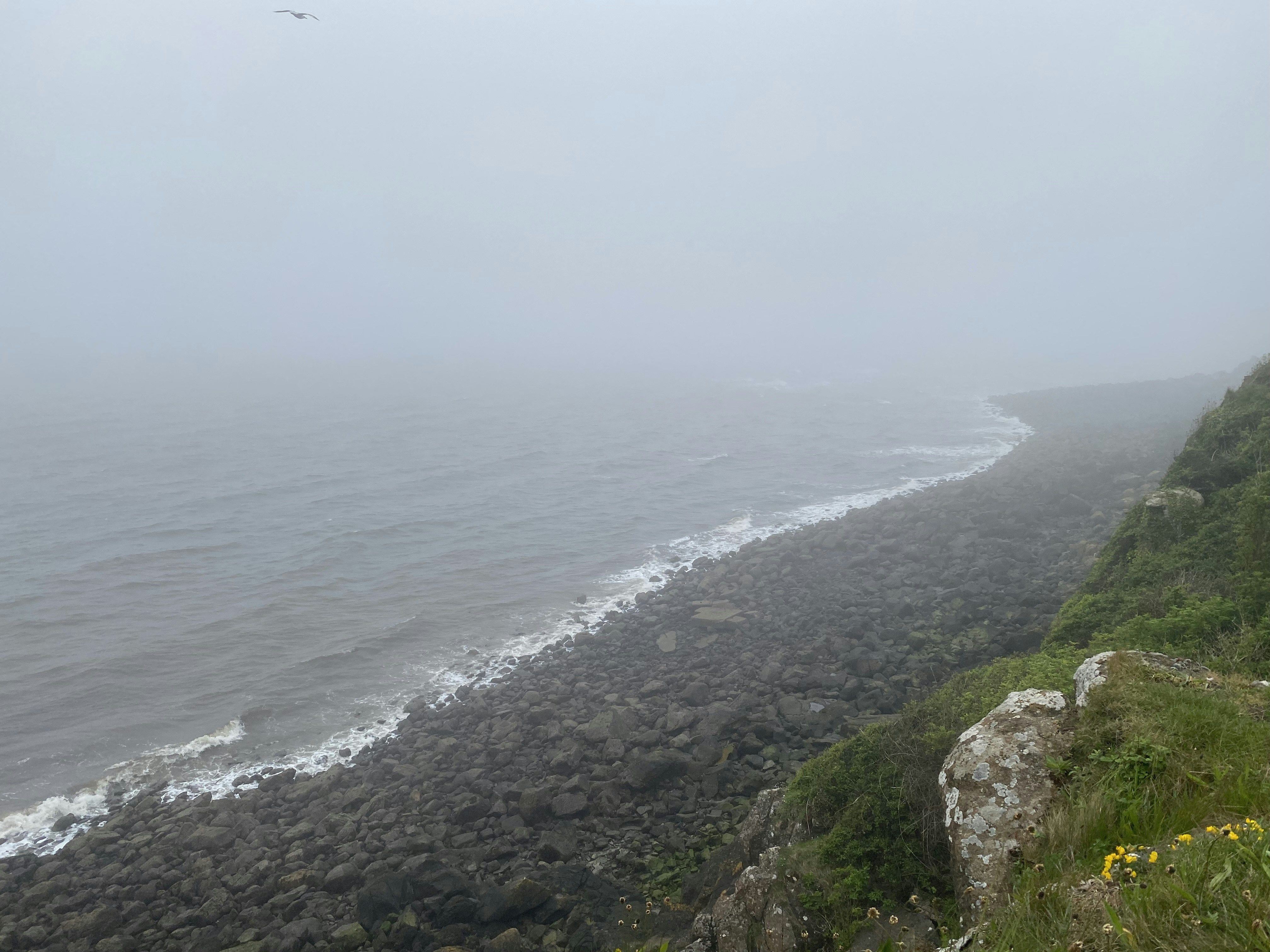 Fogbound Edge: Green Cliff Framing a Pebble Coast
