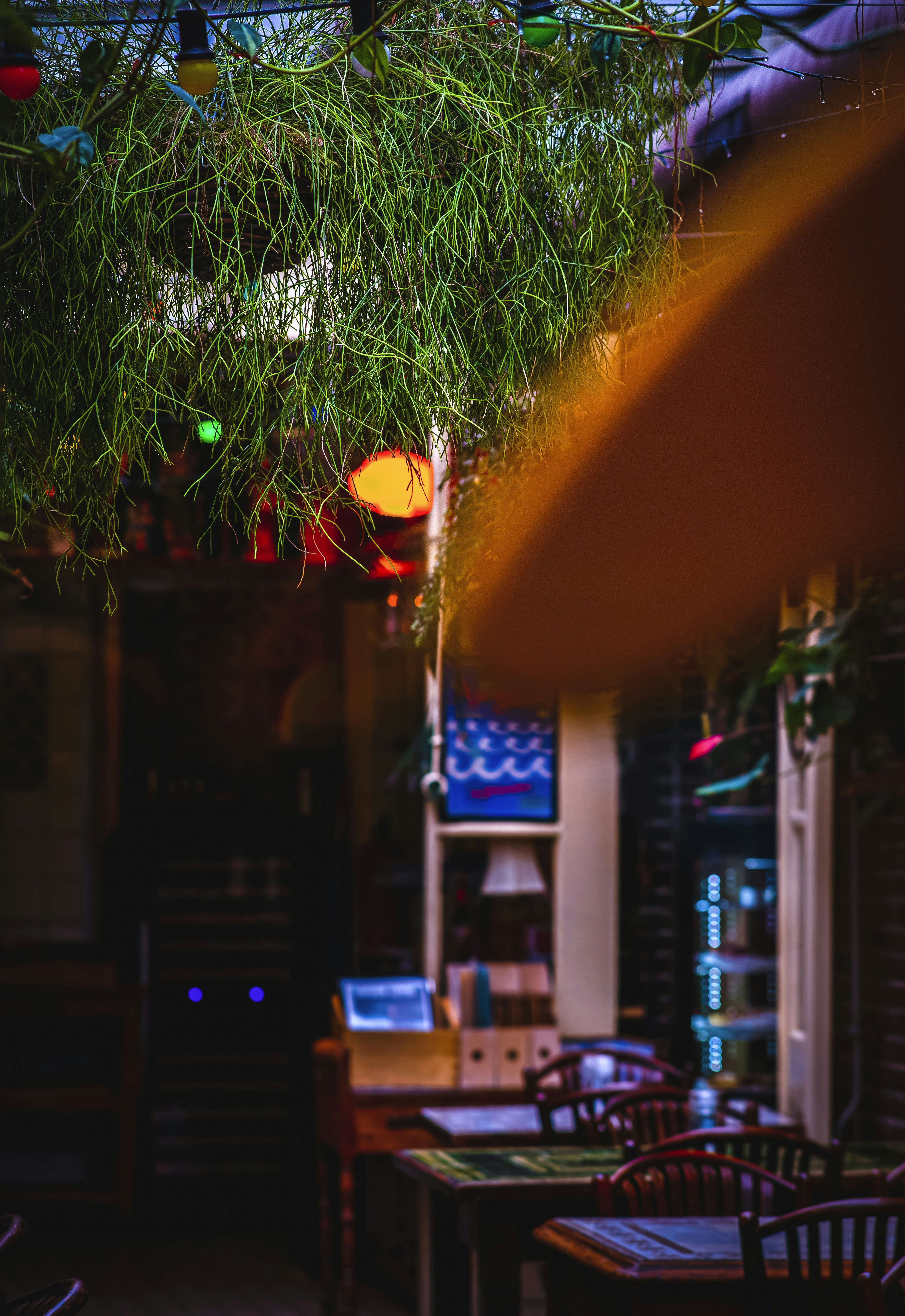 Green Canopy Over Quiet Tables: Neon Warmth in a Dim Café