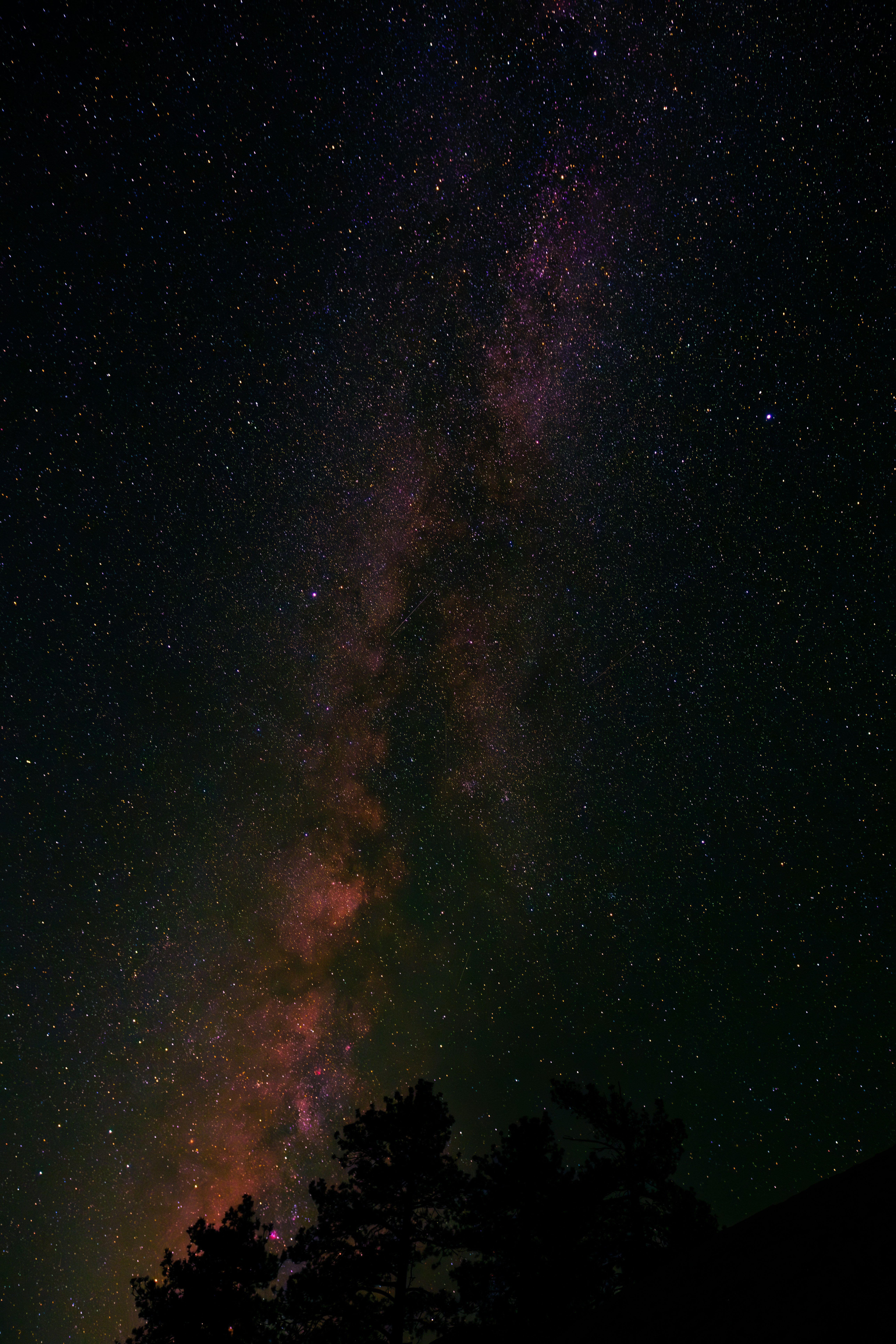 The night sky is filled with stars and trees photo – Free Yosemite ...