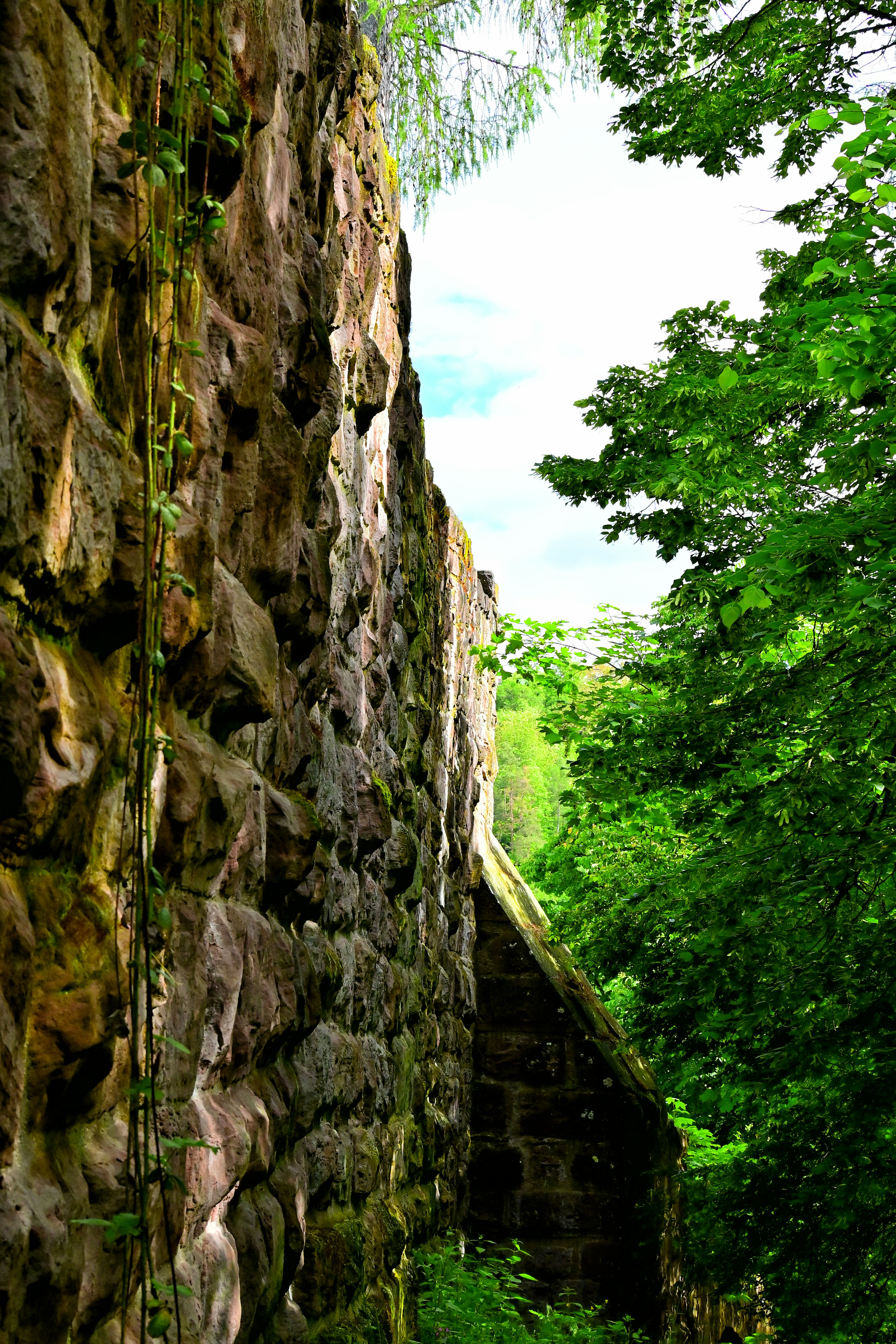 An old stonewall of a castle in the forests.