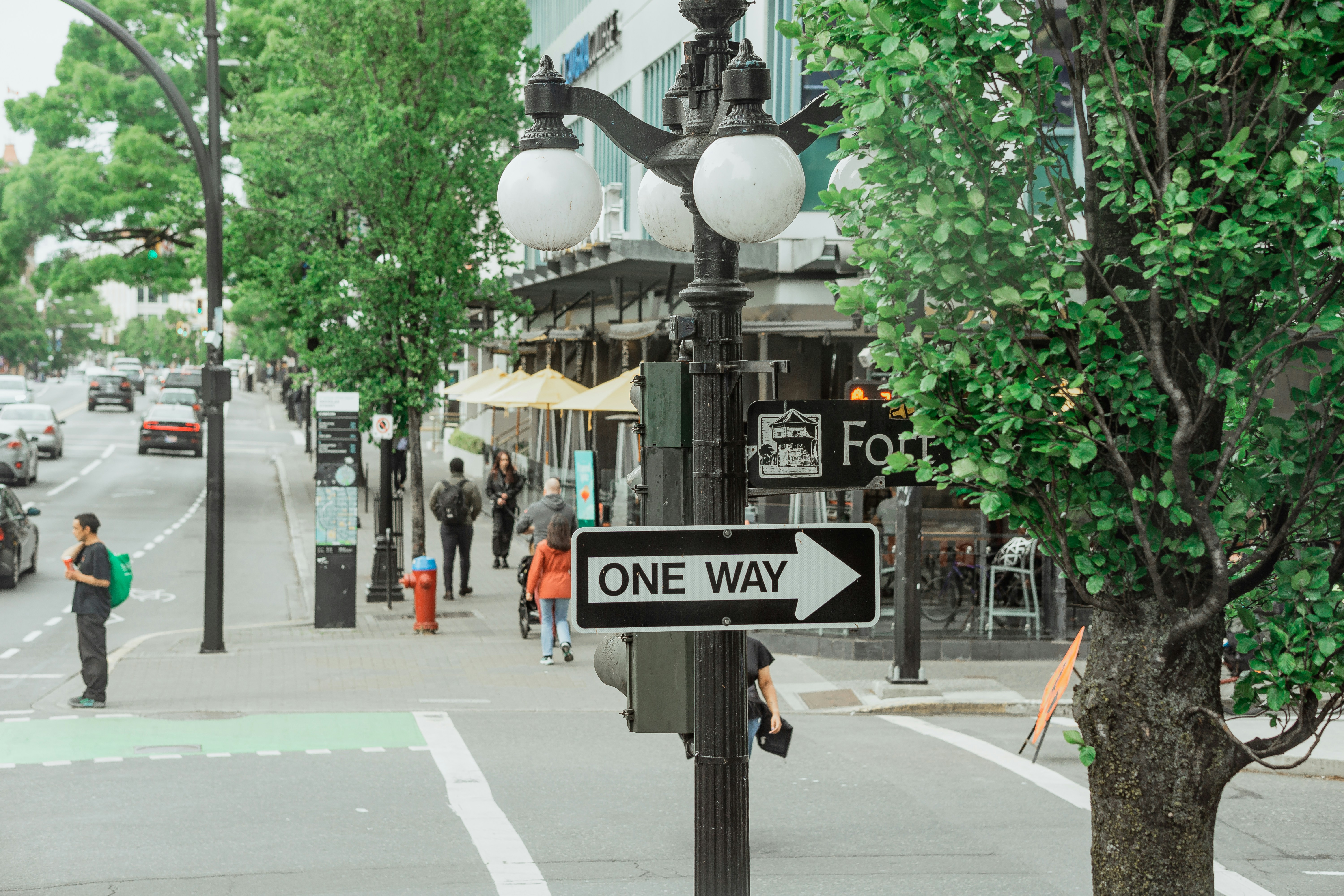 One Way to the Café: A Quiet City Moment Under Green Canopies