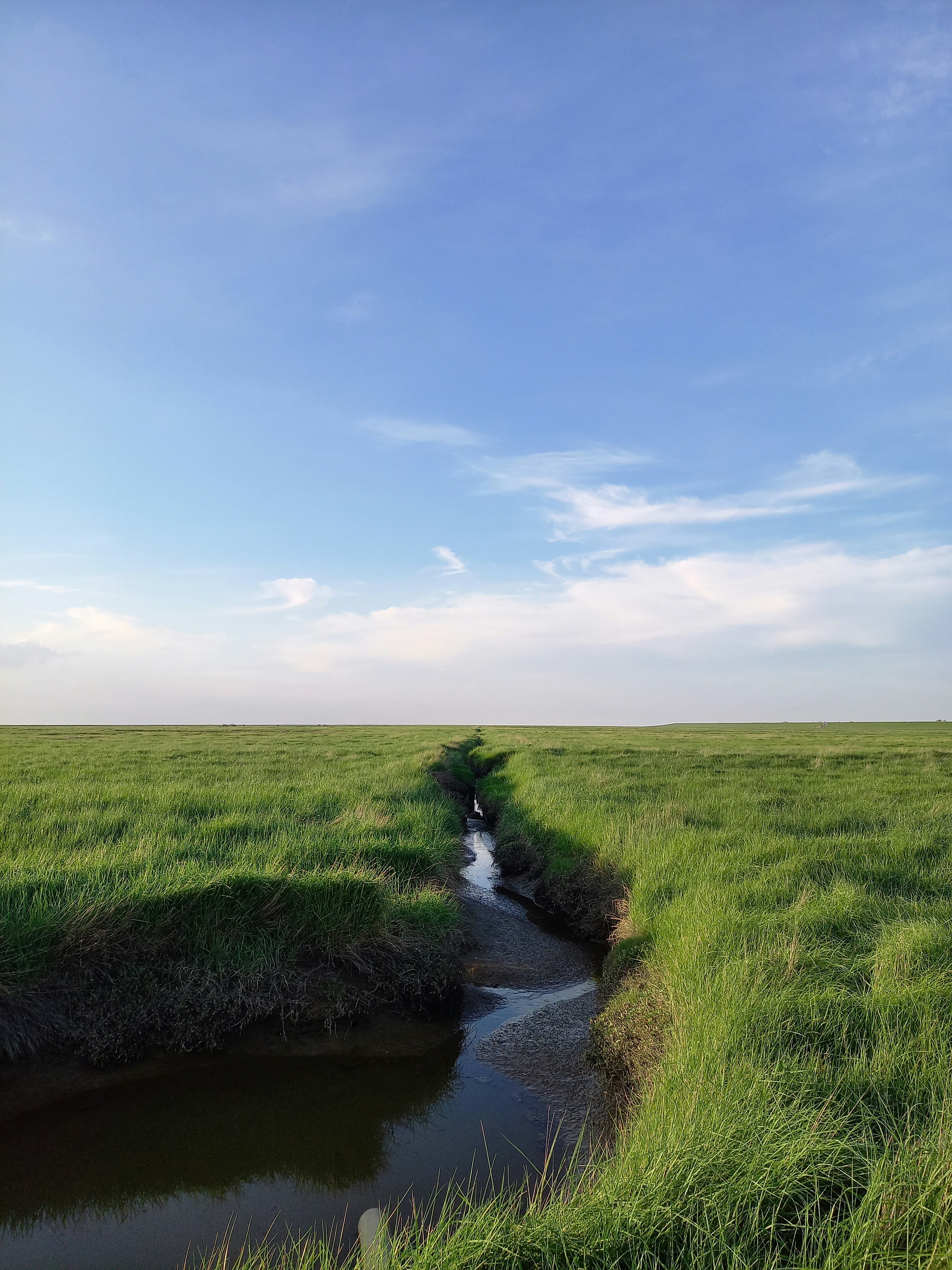 A wide marshland stretches to the horizon with a narrow waterway cutting through vibrant green grasses. The clear blue sky with wispy clouds reinforces the tranquil, open landscape.