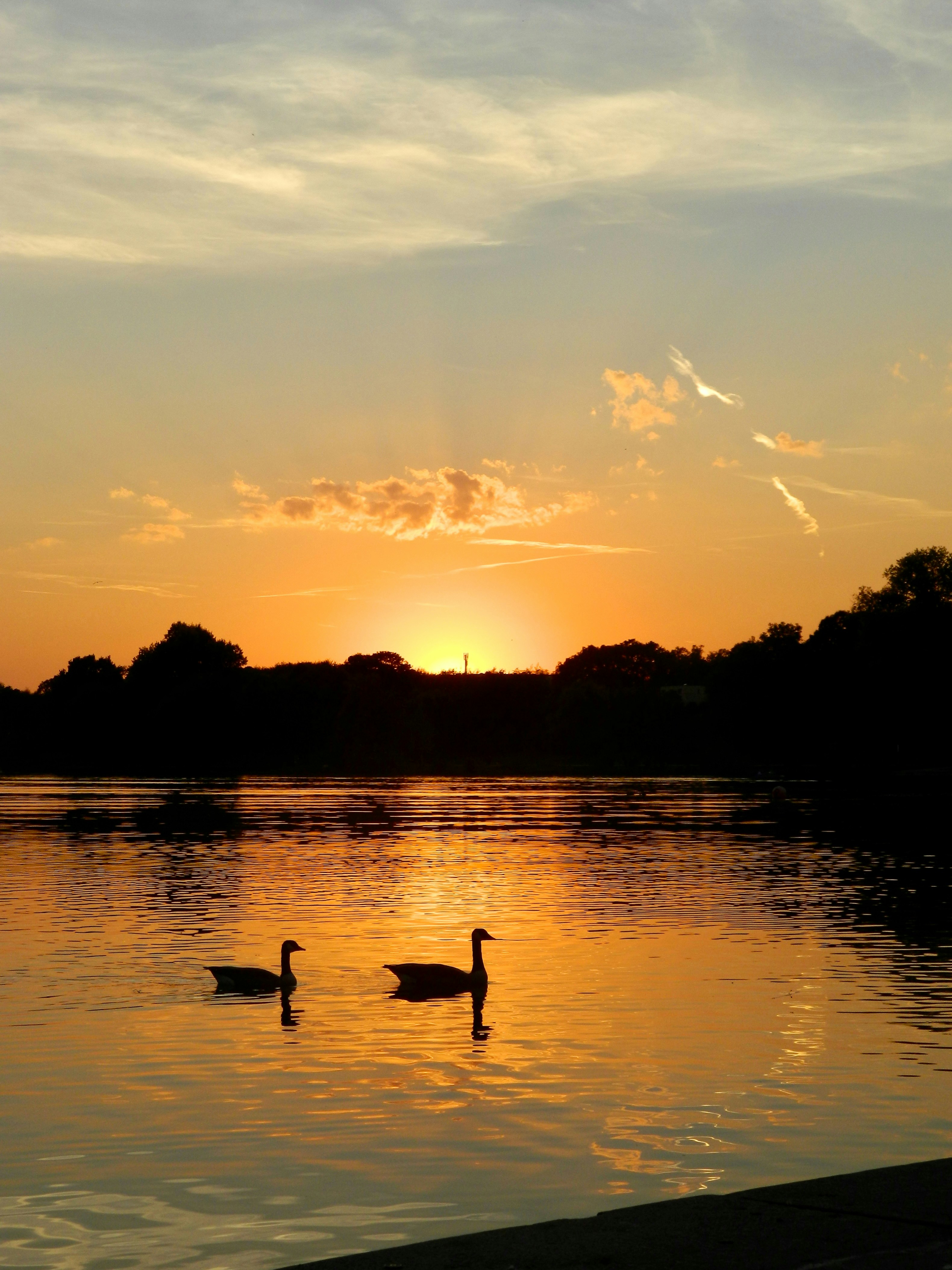 Hallbergmoos, Germany - all you need to know