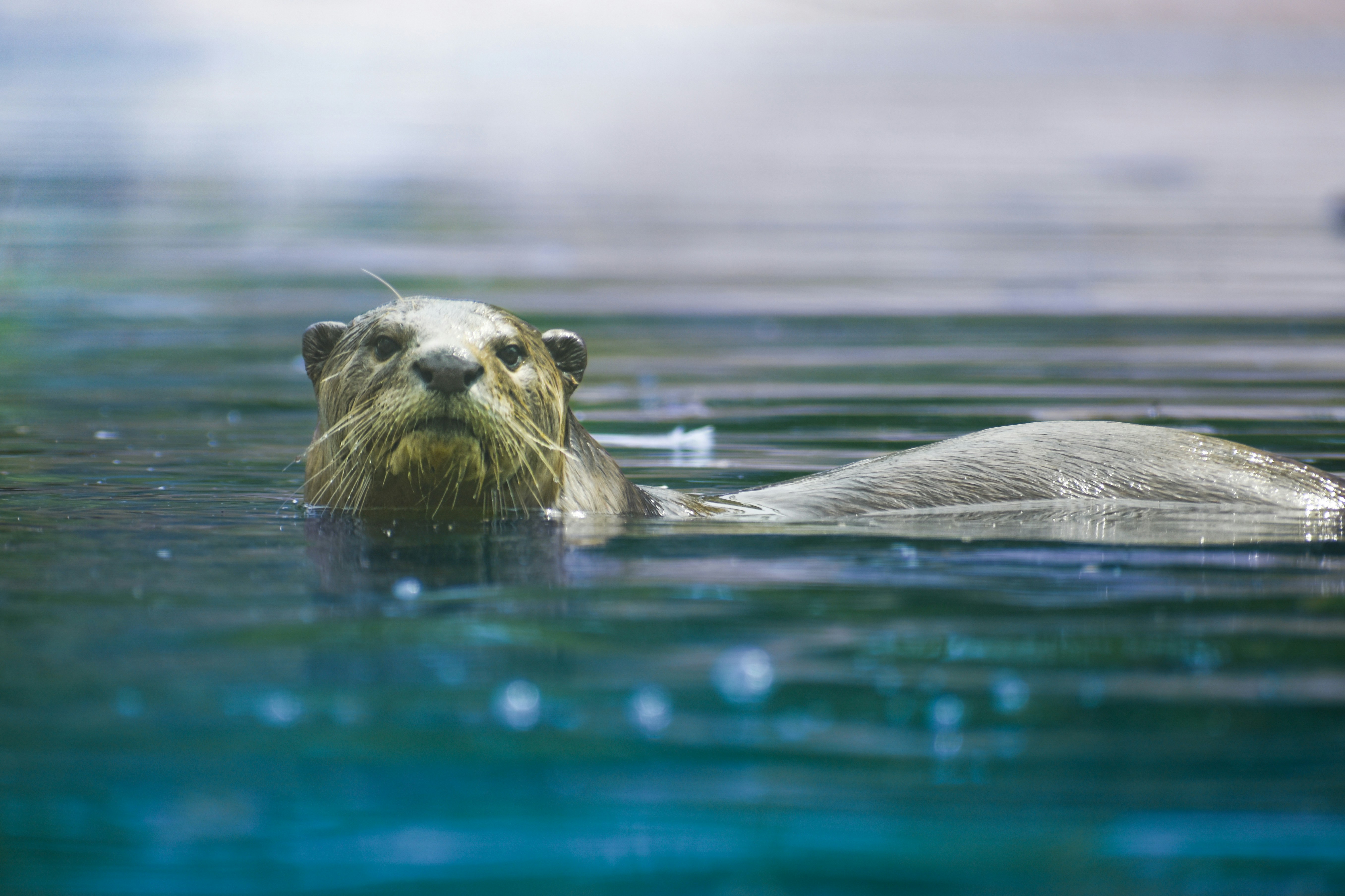 Photo by jebin ephrimraj with Nikon D5600