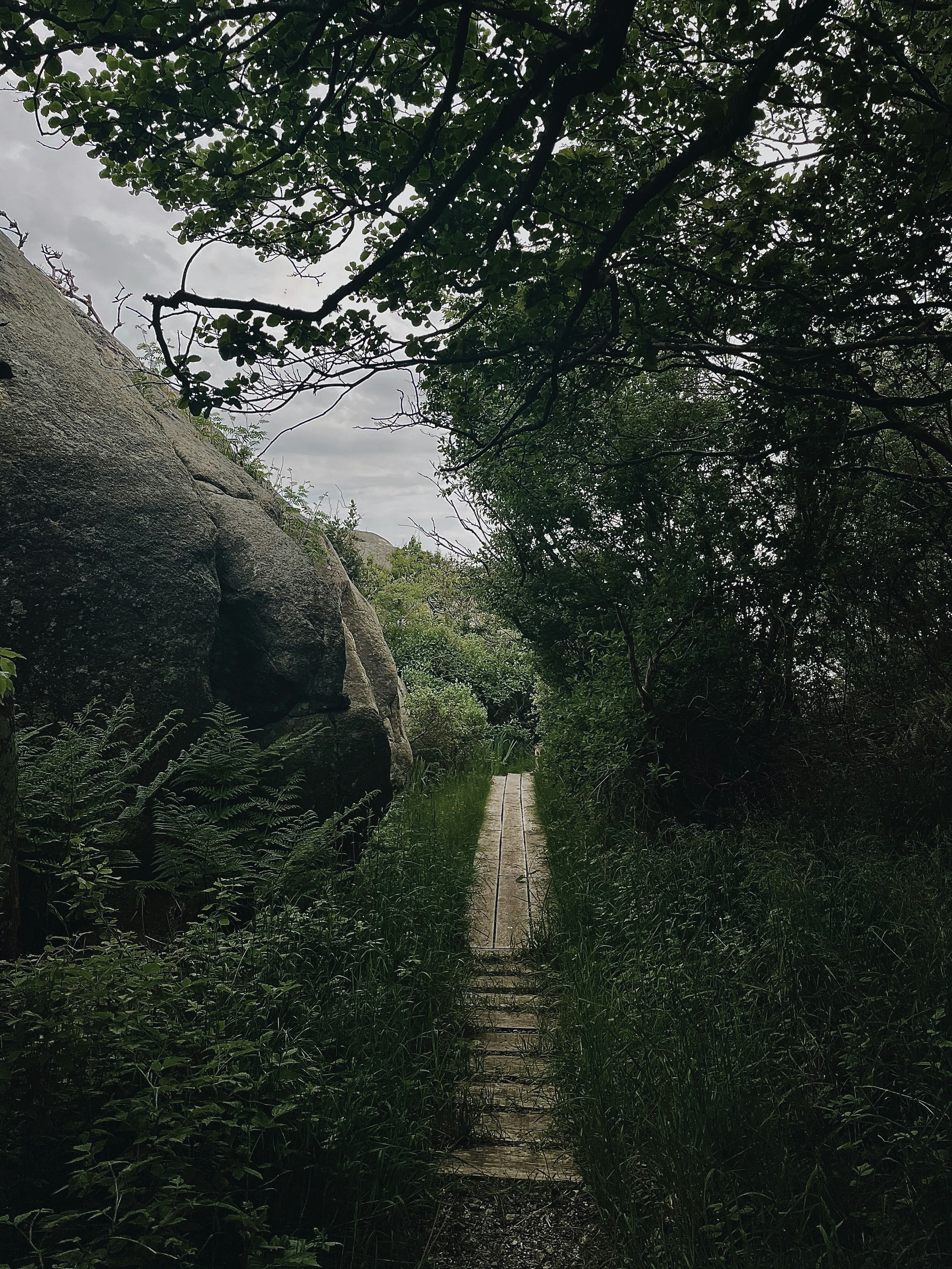 Linda Rossow Berg (@rossow) | Komunitas Foto Unsplash