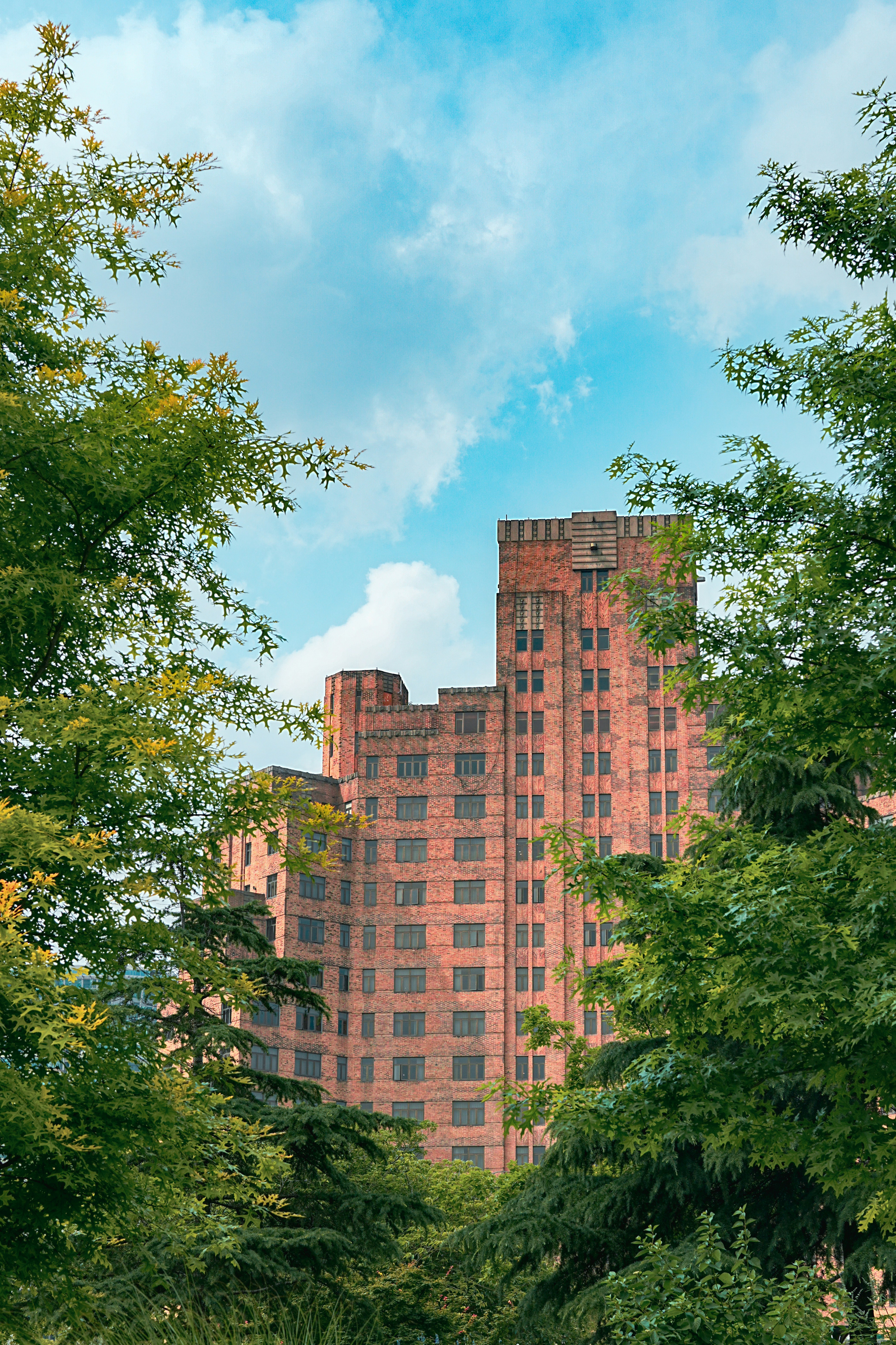 Brick mid-rise building rises through a fringe of lush green trees under a bright blue sky.
