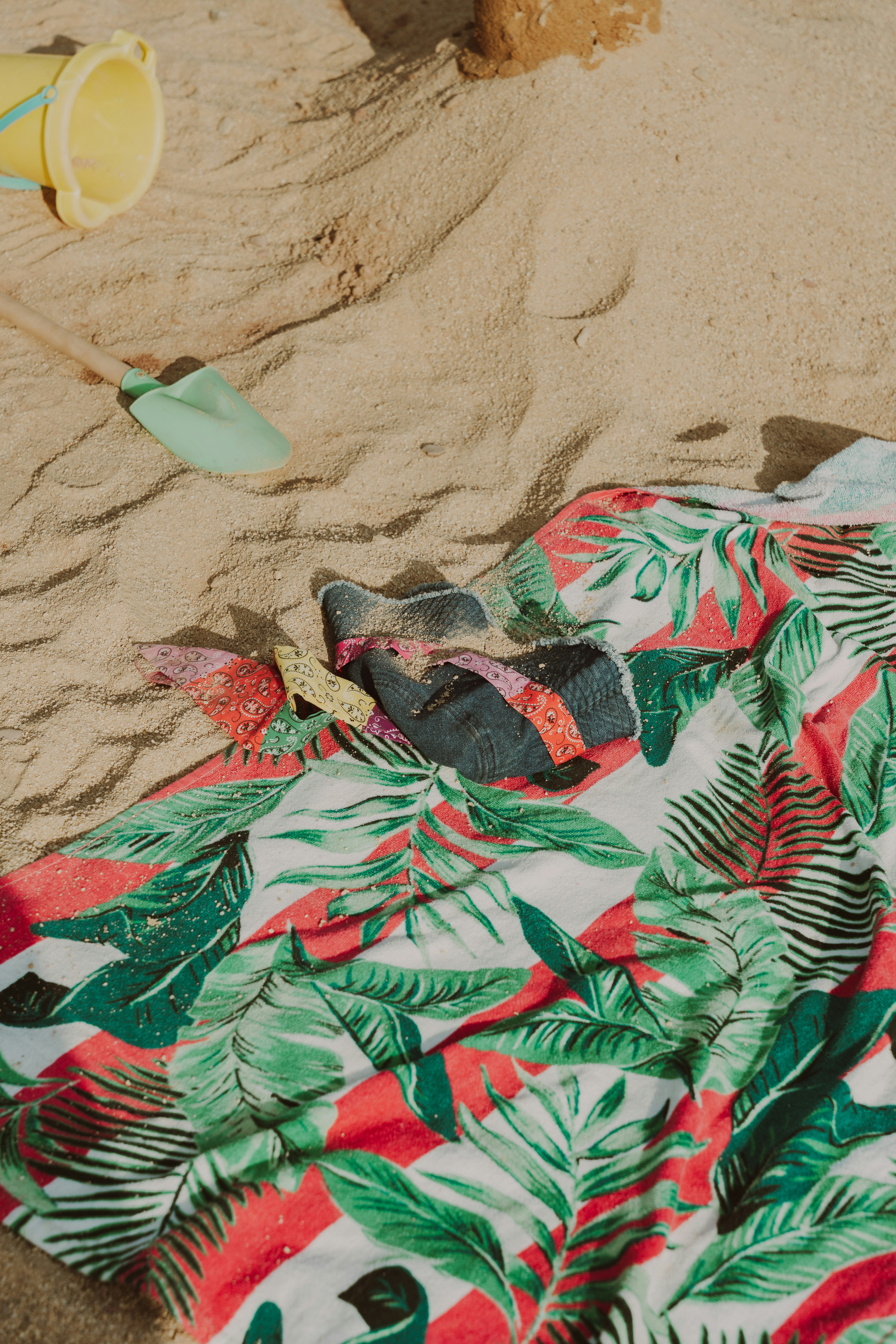 Photo by Nellie Adamyan with Sony Alpha 7R IIIA