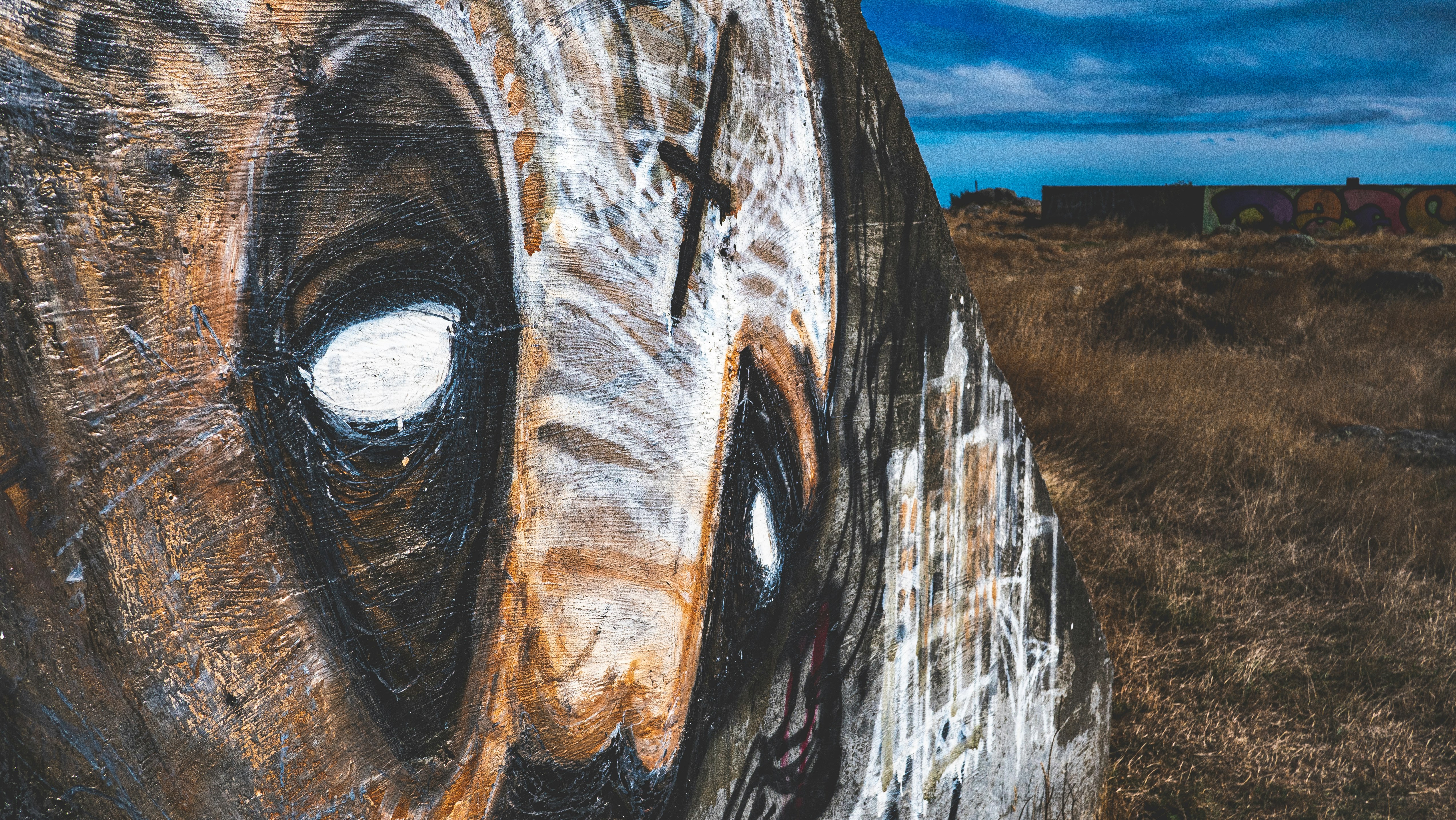 Concrete Portrait: Graffiti Eye in an Open Field