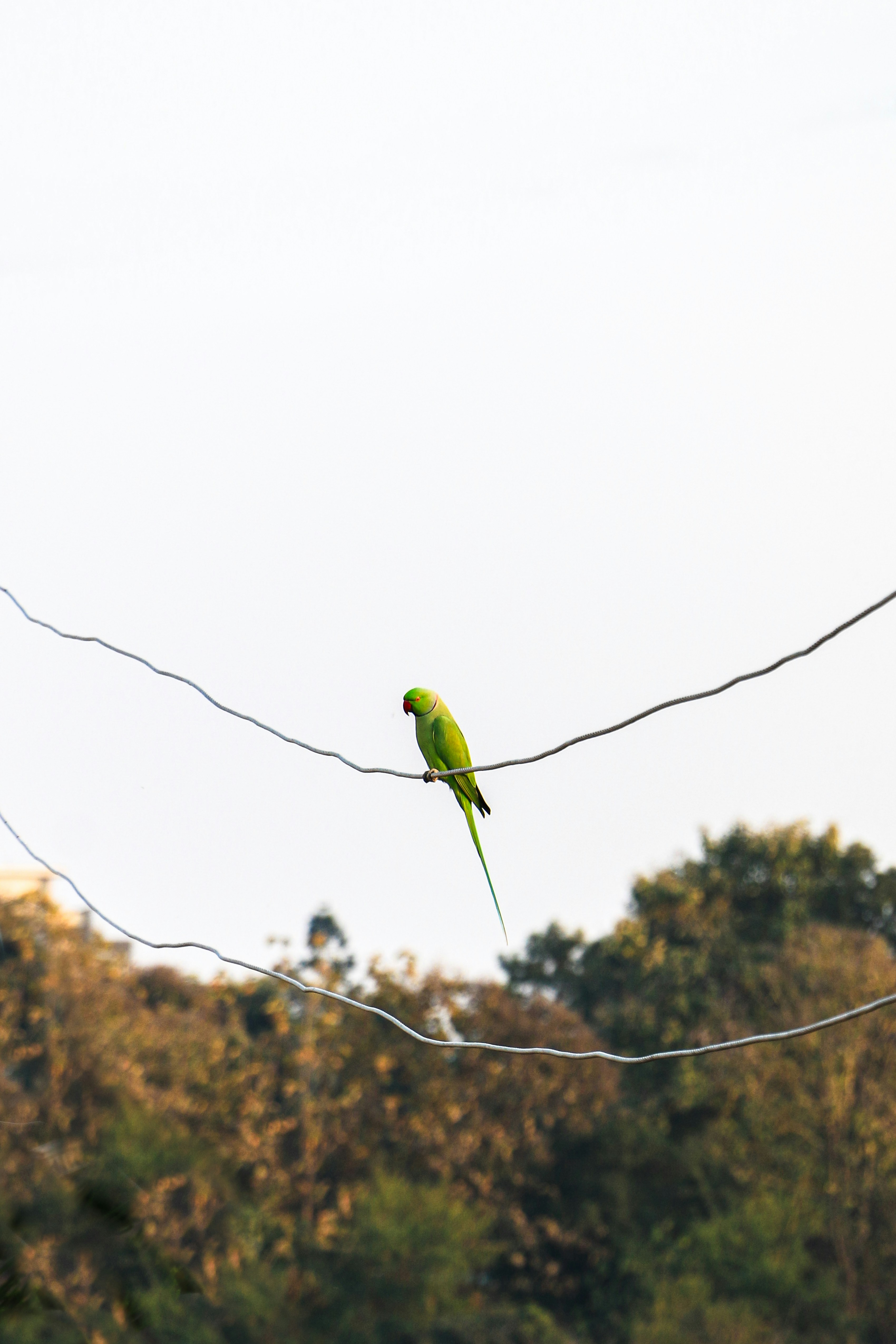 Photo by Milin John with Canon EOS 70D