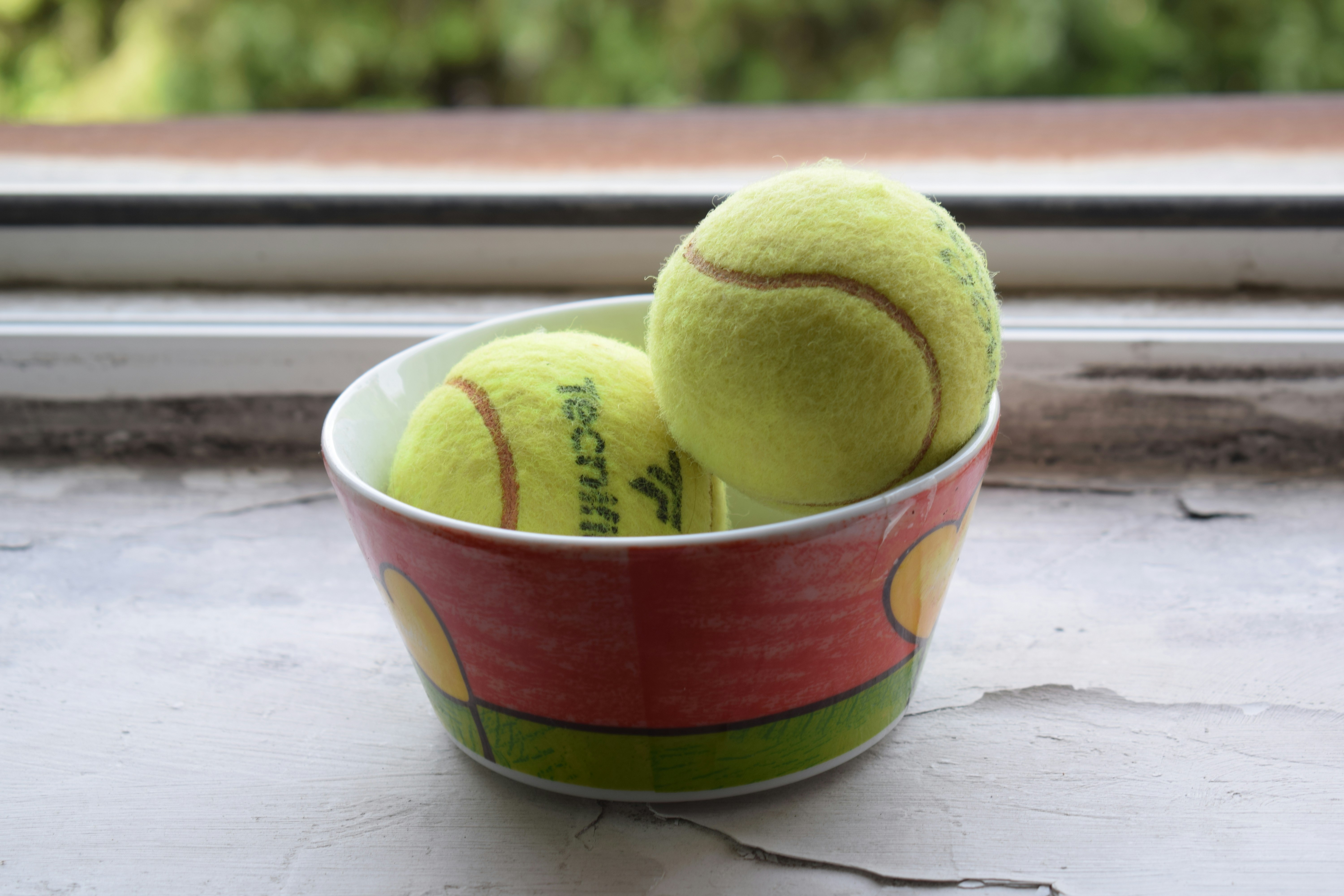Morning Light on a Painted Cup Cradling Tennis Balls