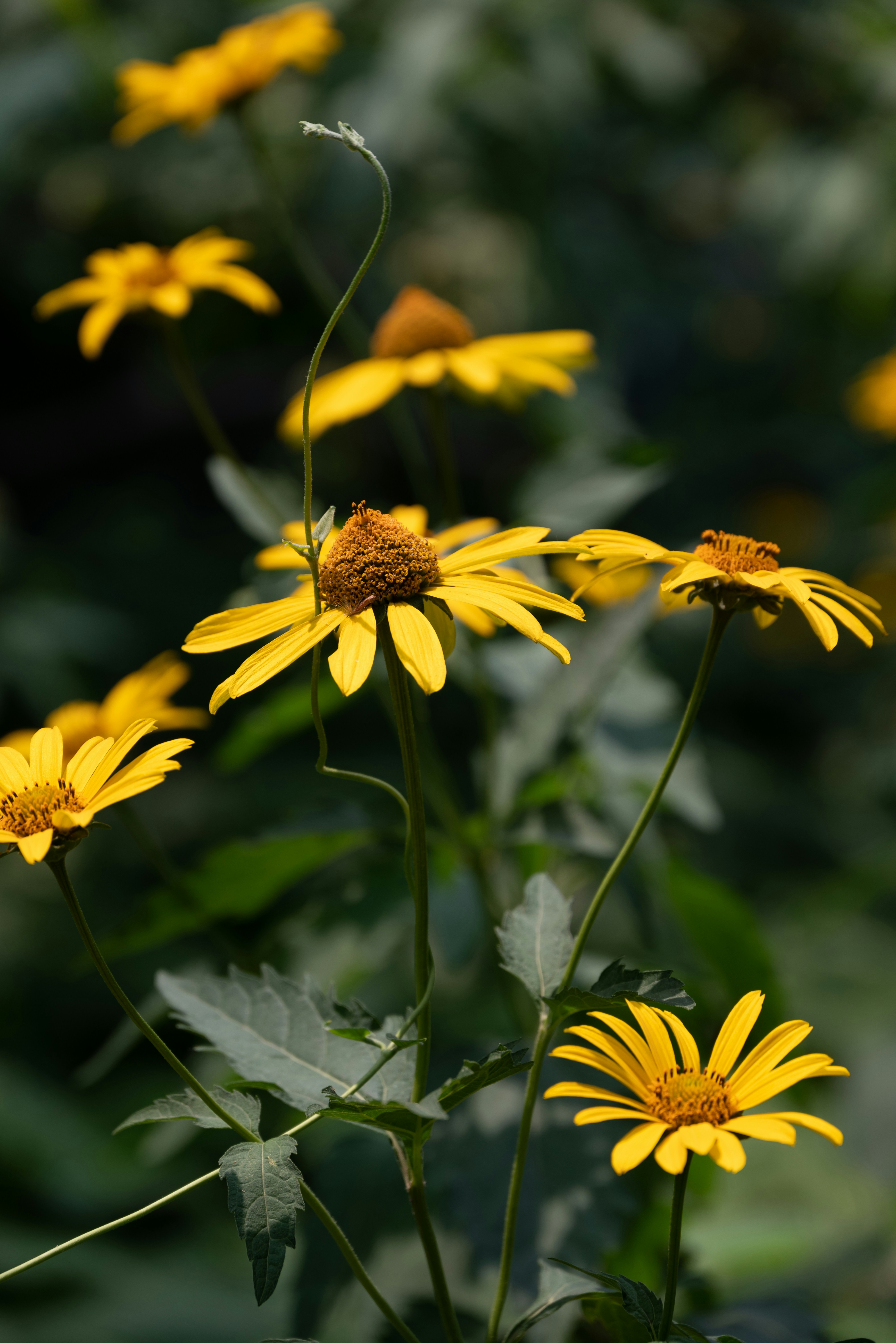 Photo by ran liwen with Nikon Z5