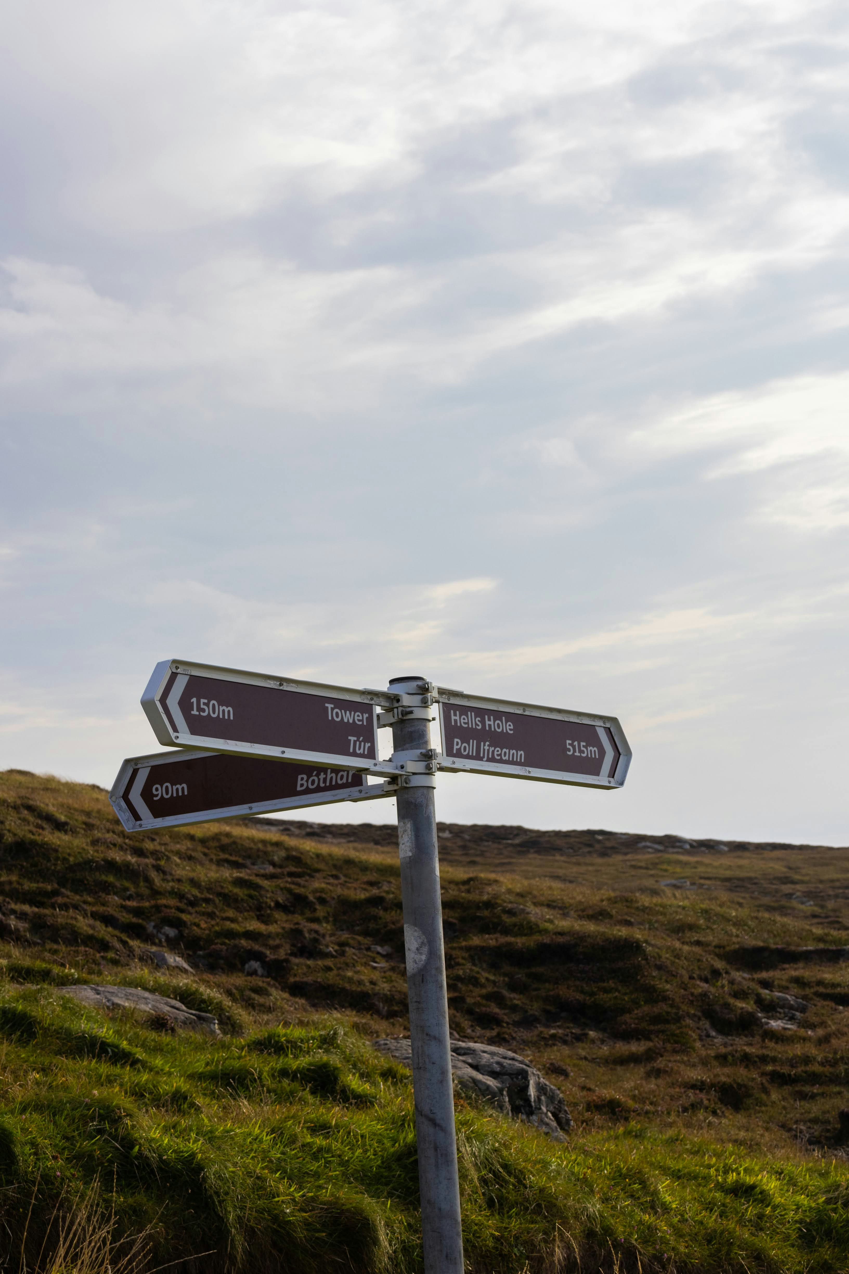 Direction in the Dunes: Signpost On A Quiet Moor