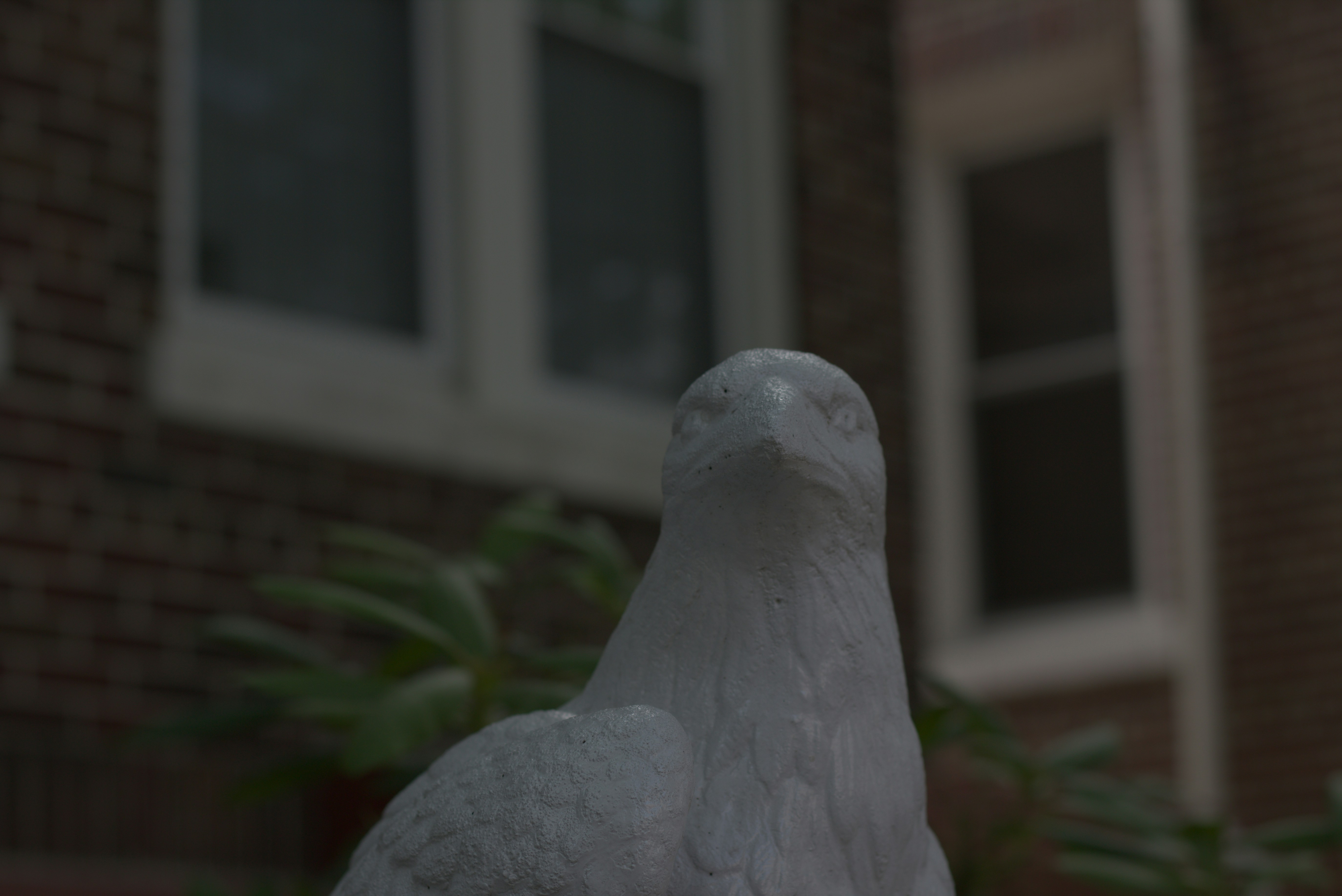 Photo by George Pagan III with Canon EOS 70D