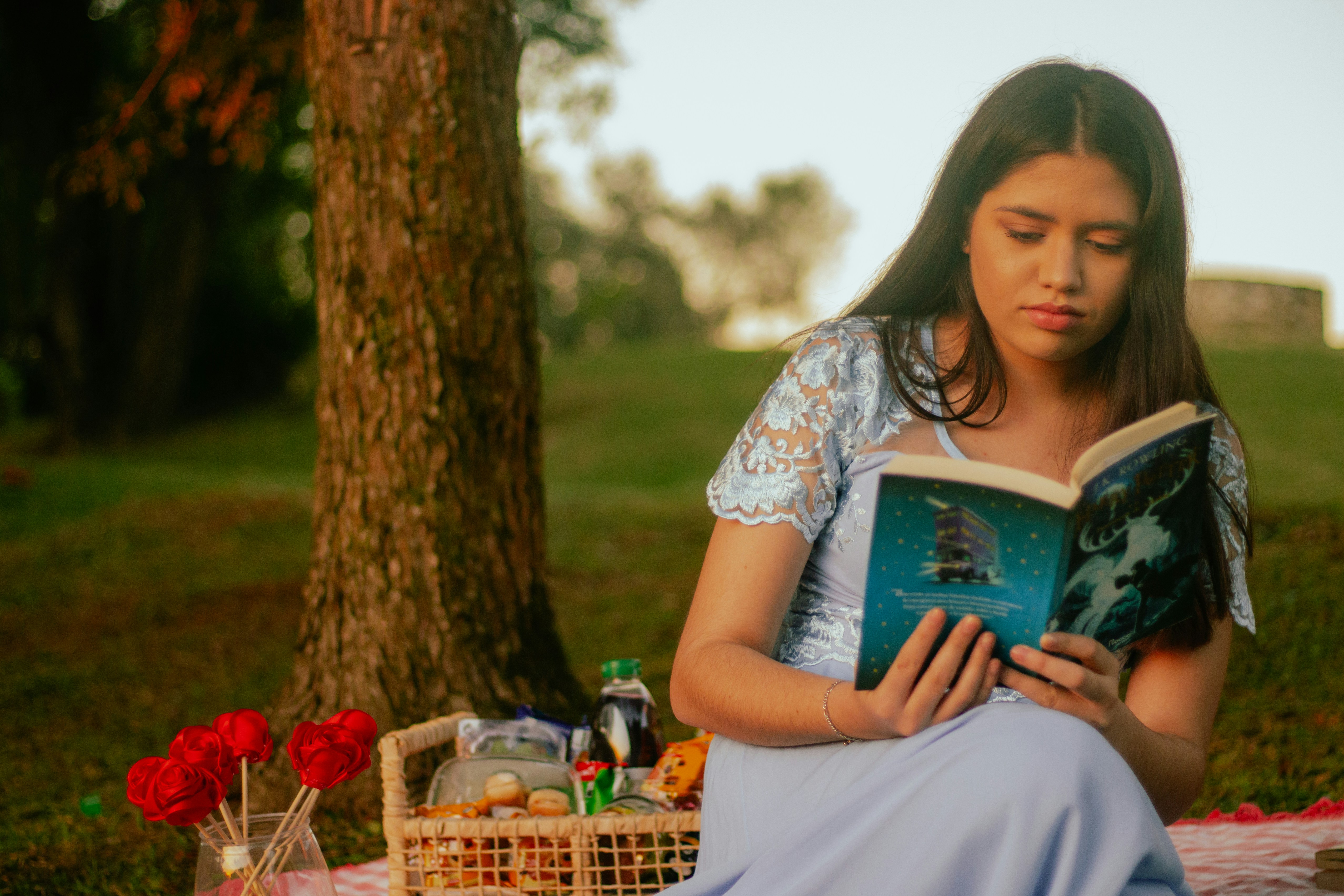 Quiet Reader in the Park: A Moment Preserved