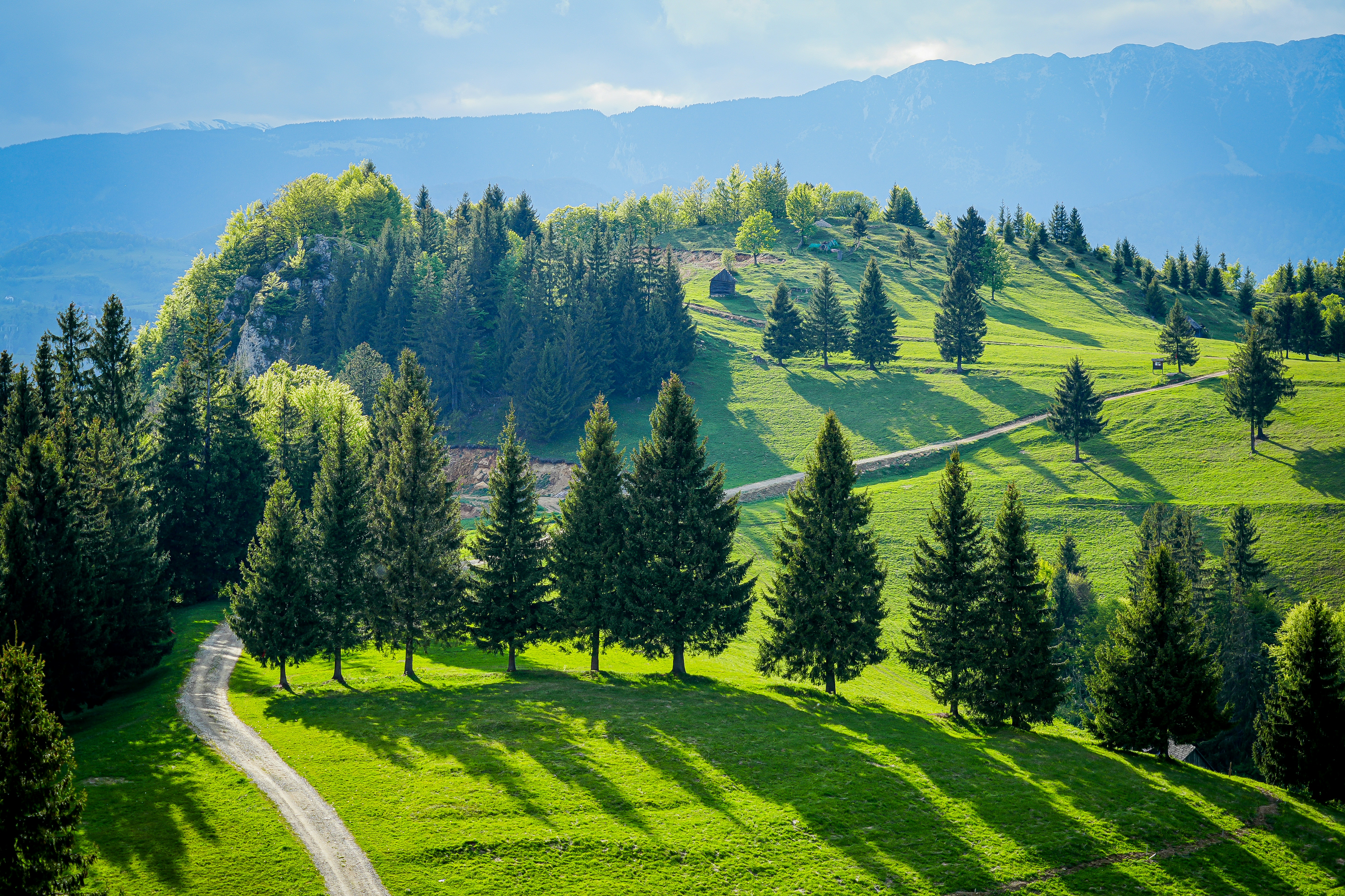 A scenic view of a green hillside with trees photo – Free Forest Image ...