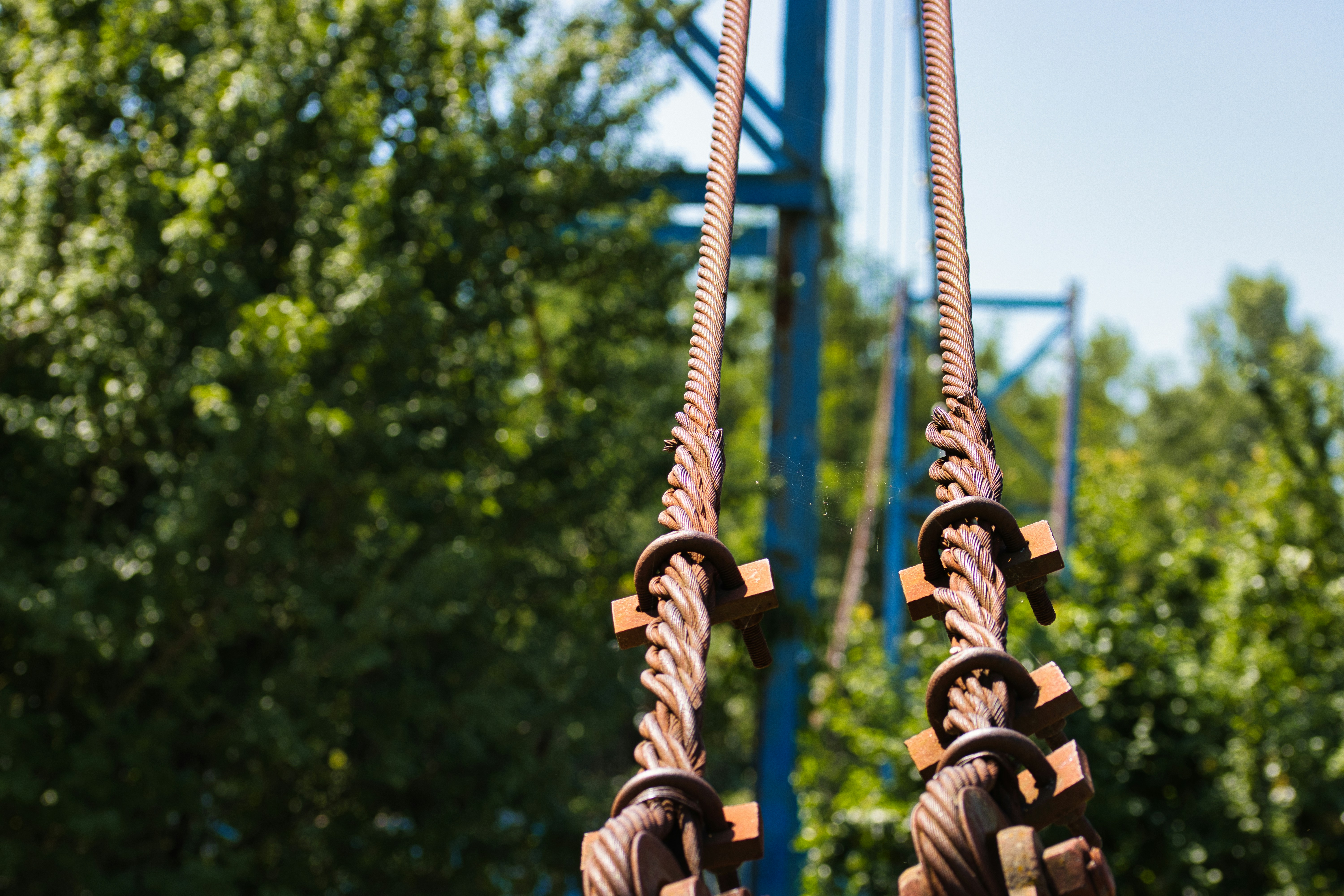 Rope Bridges and Rusted Steel: A Close-Up of Suspension Cables