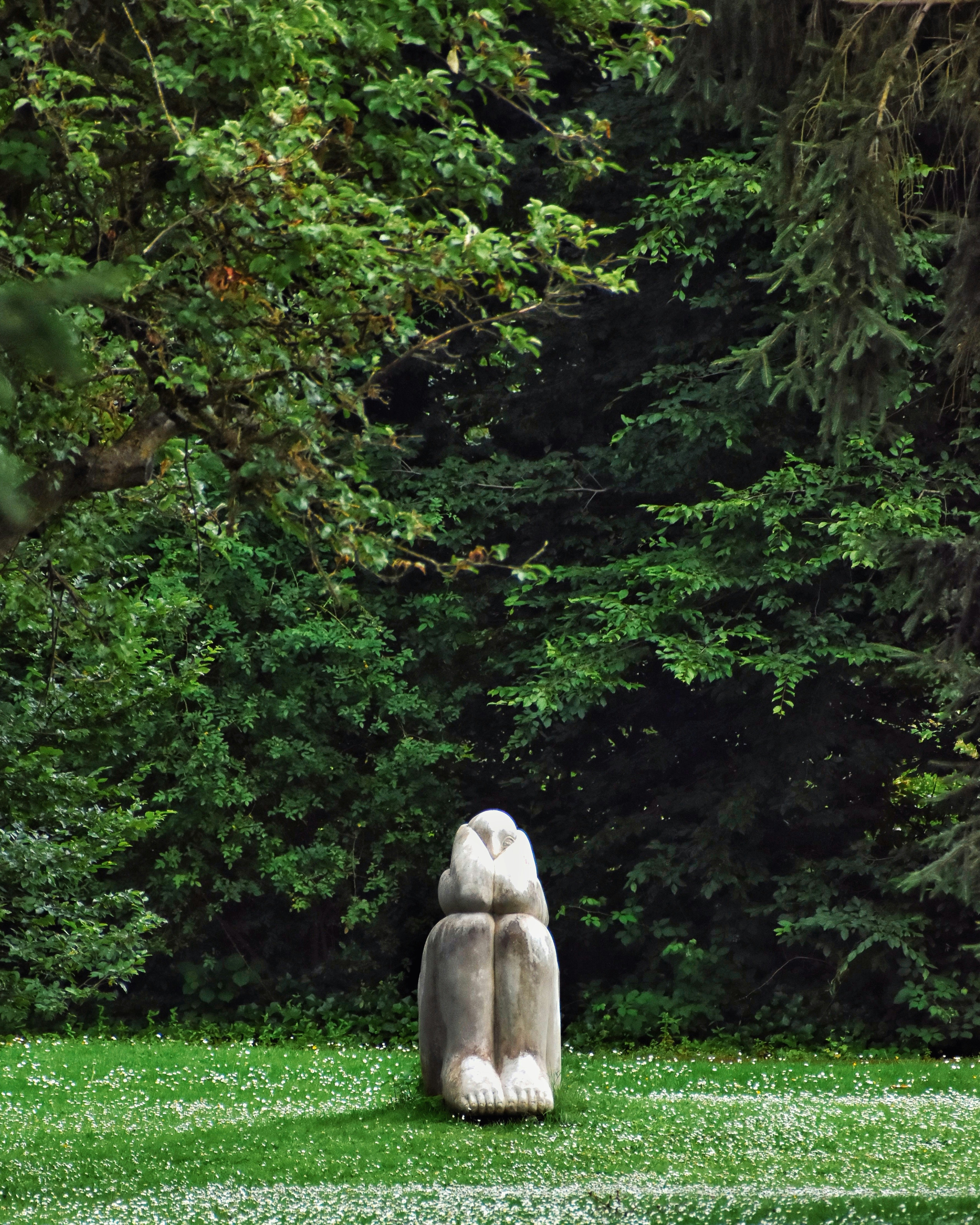 Photo by Sanket Gupta with Nikon D5600