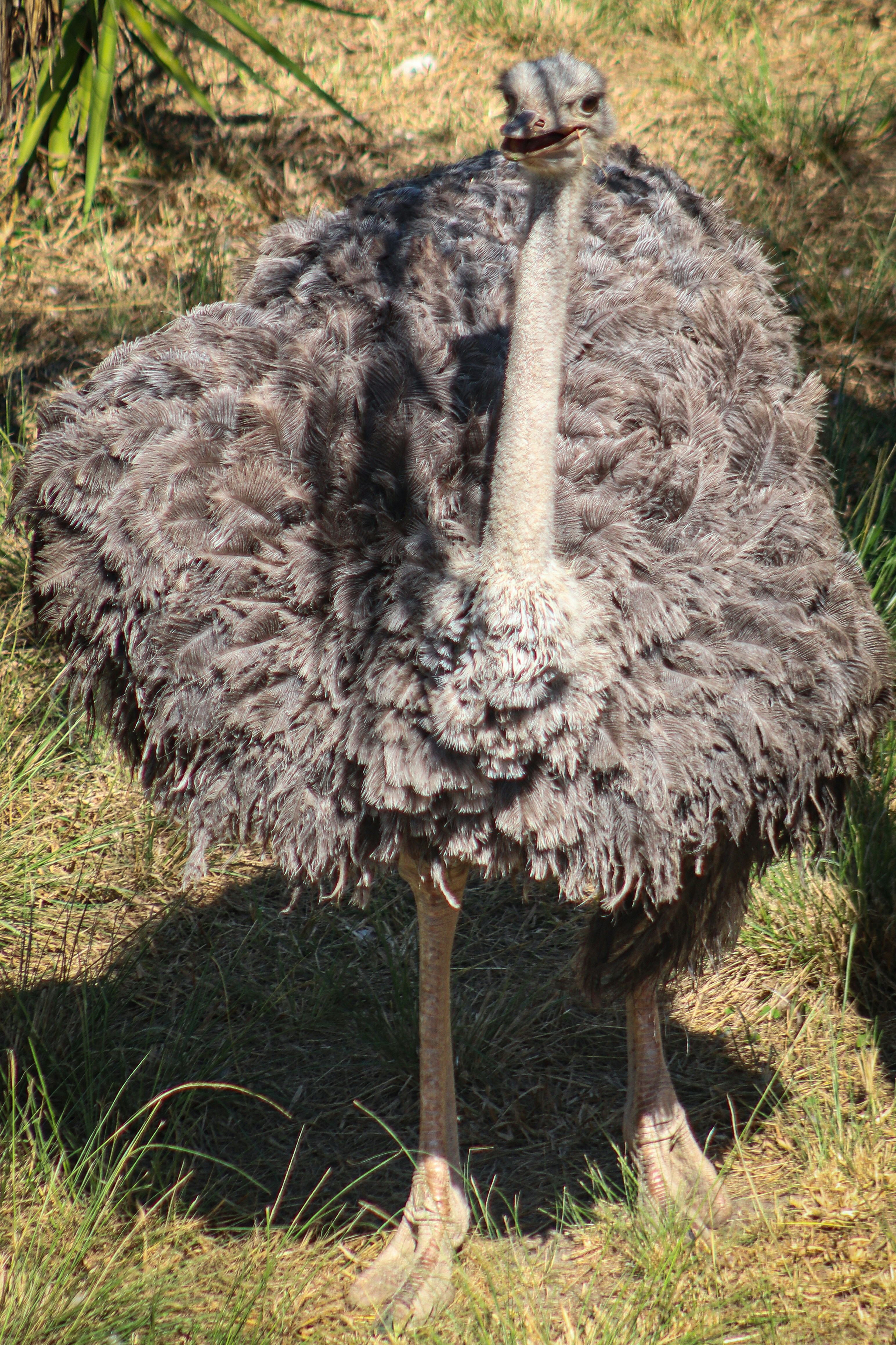 Photo by Jean Carlos with Canon EOS 800D