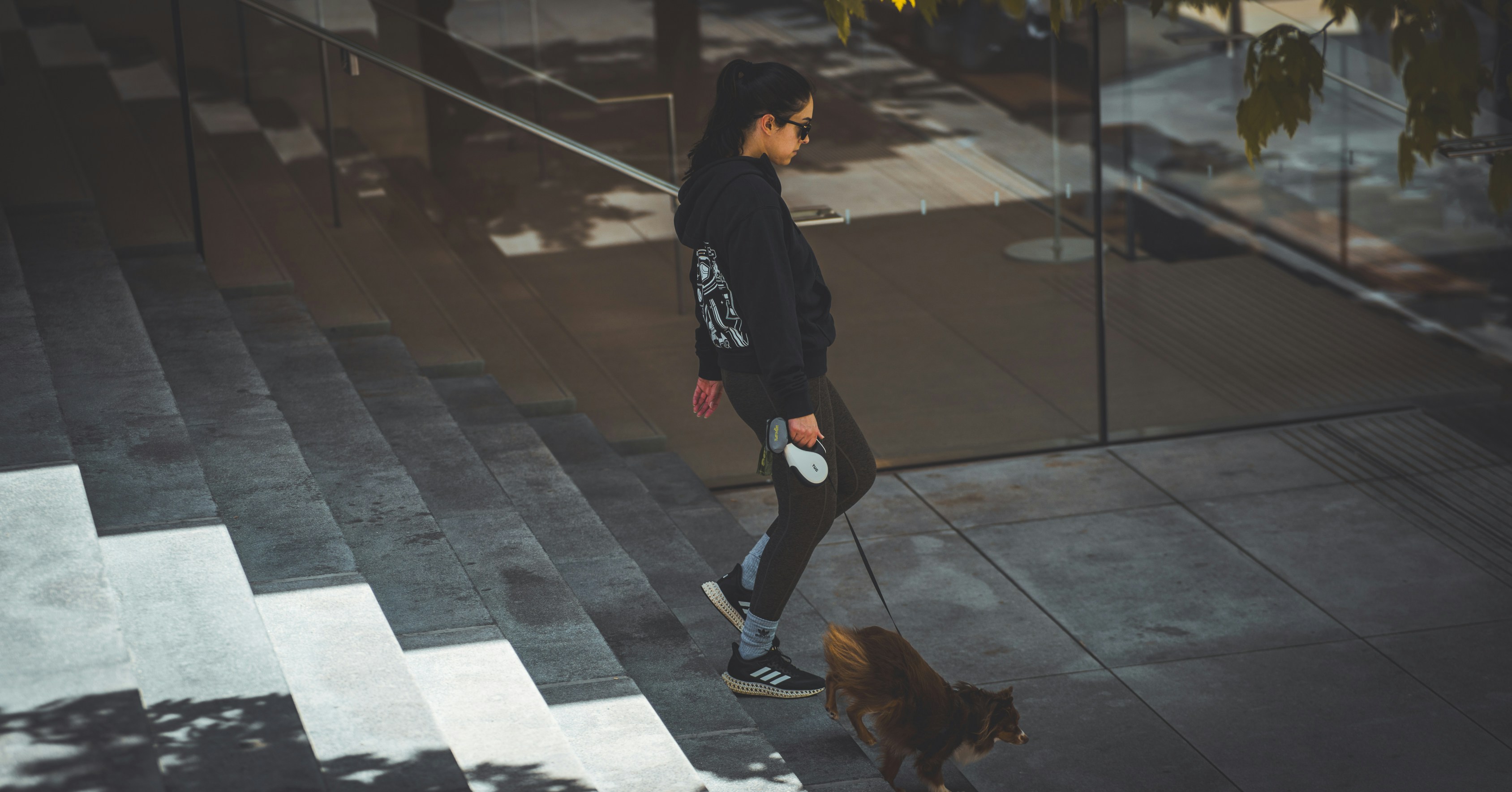 Urban Glass, Quiet Steps: A Woman and Her Dog Descend Modern Stairs