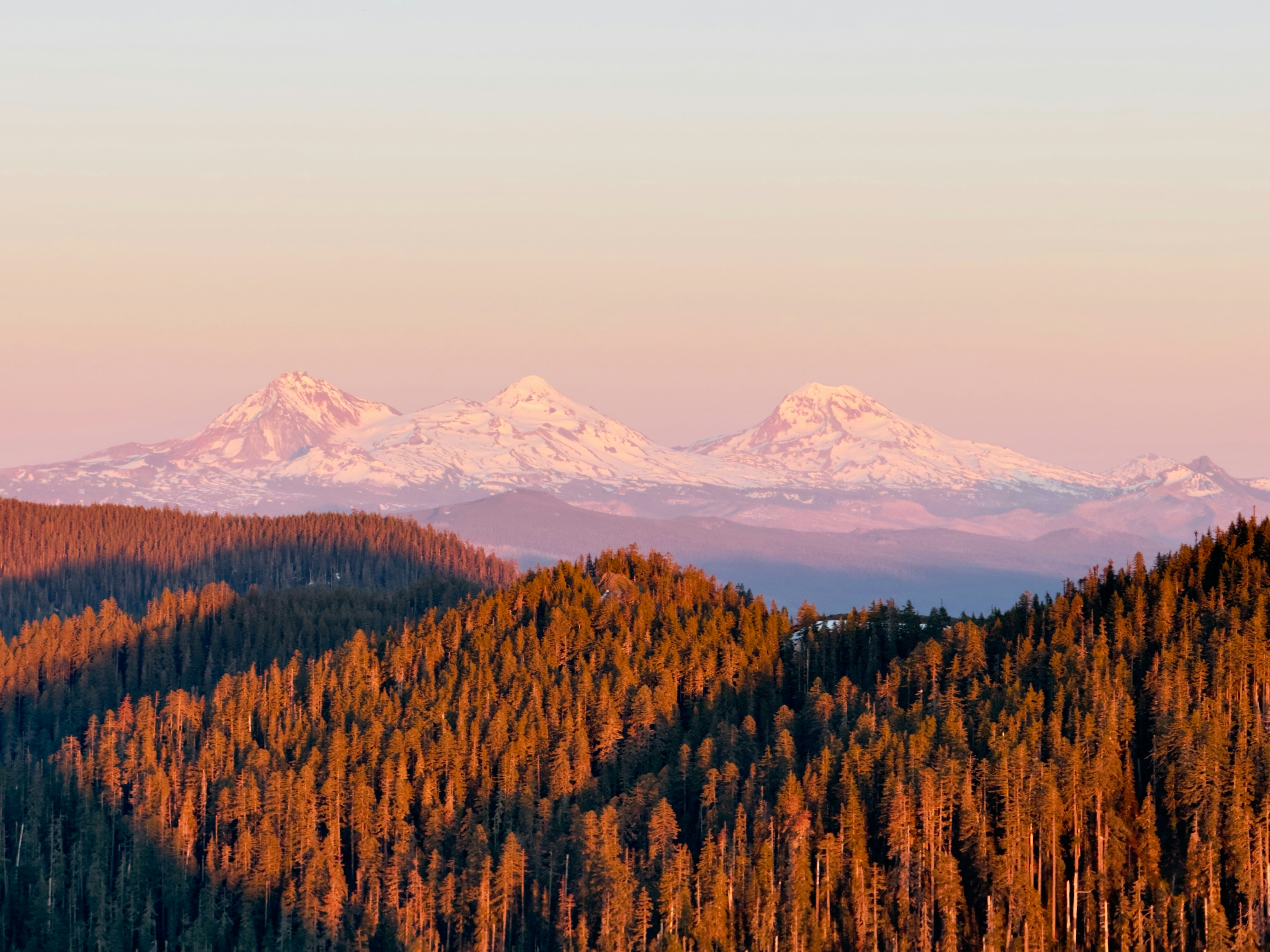 Snow-capped peaks of the Cascade Mountains bathed in soft twilight hues, framed by dense evergreen forests.
