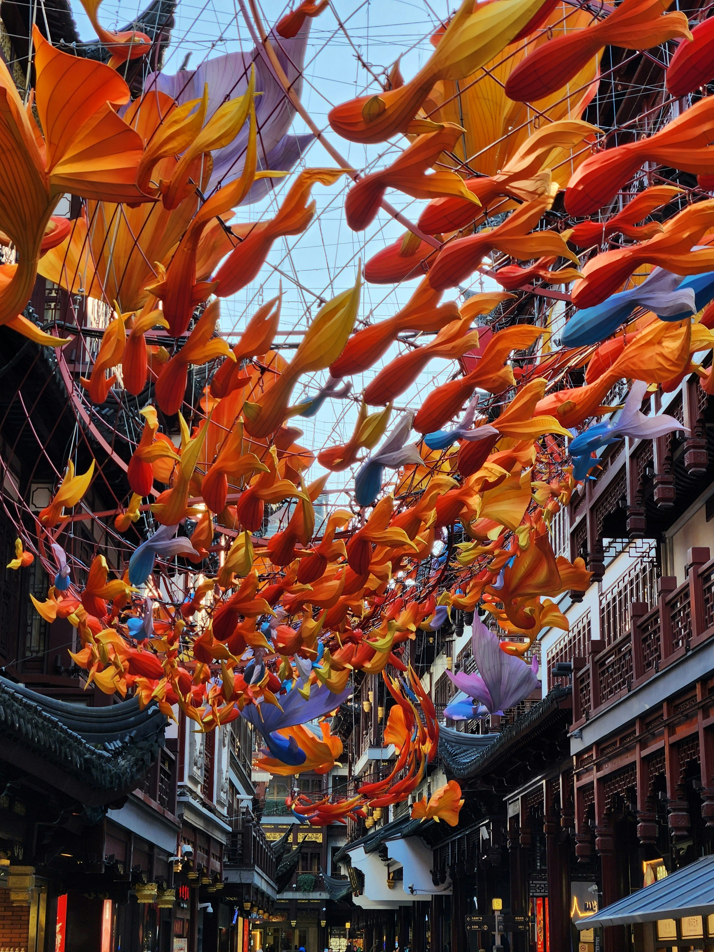 Photo by Dominic Kurniawan Suryaputra with Samsung Galaxy S22