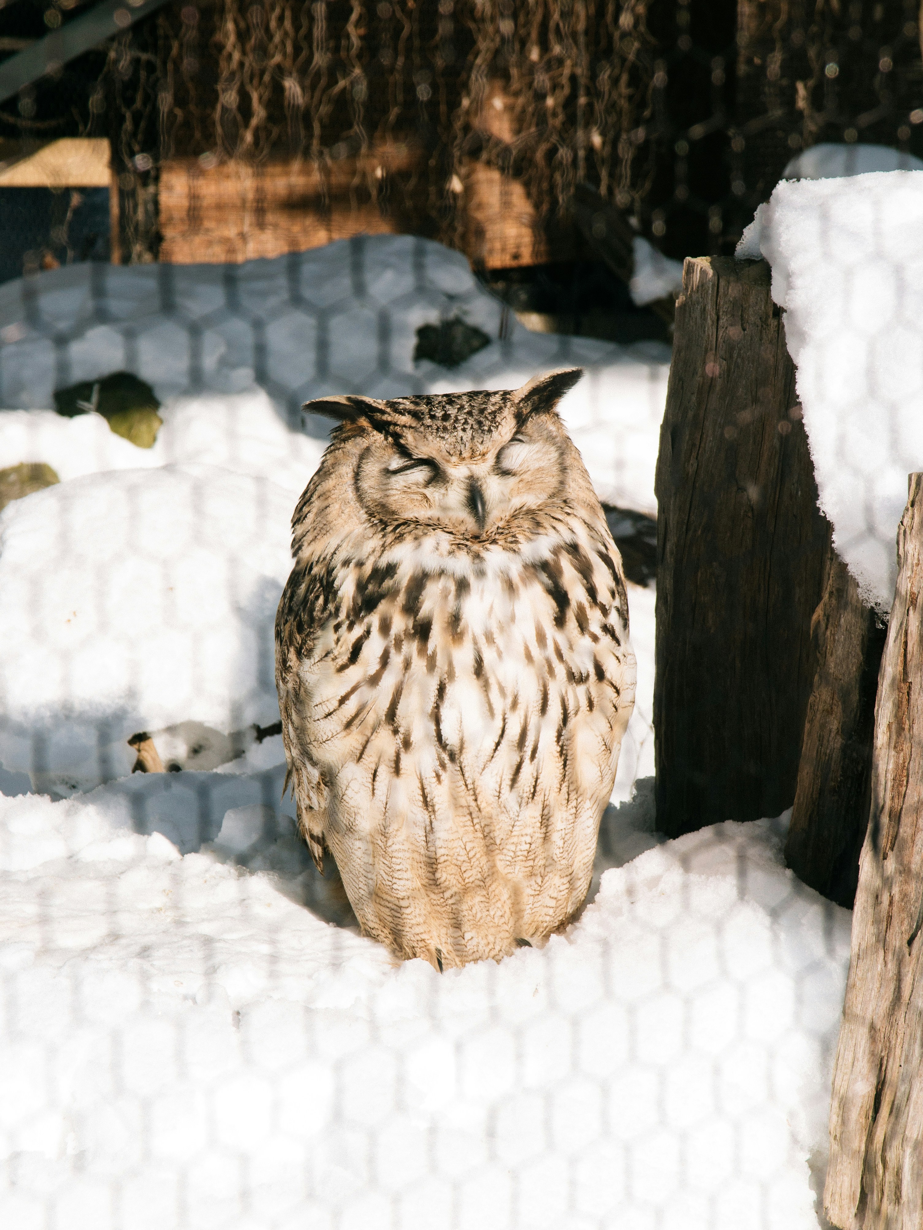 Photo by Natalie Su with Canon PowerShot G1 X Mark II