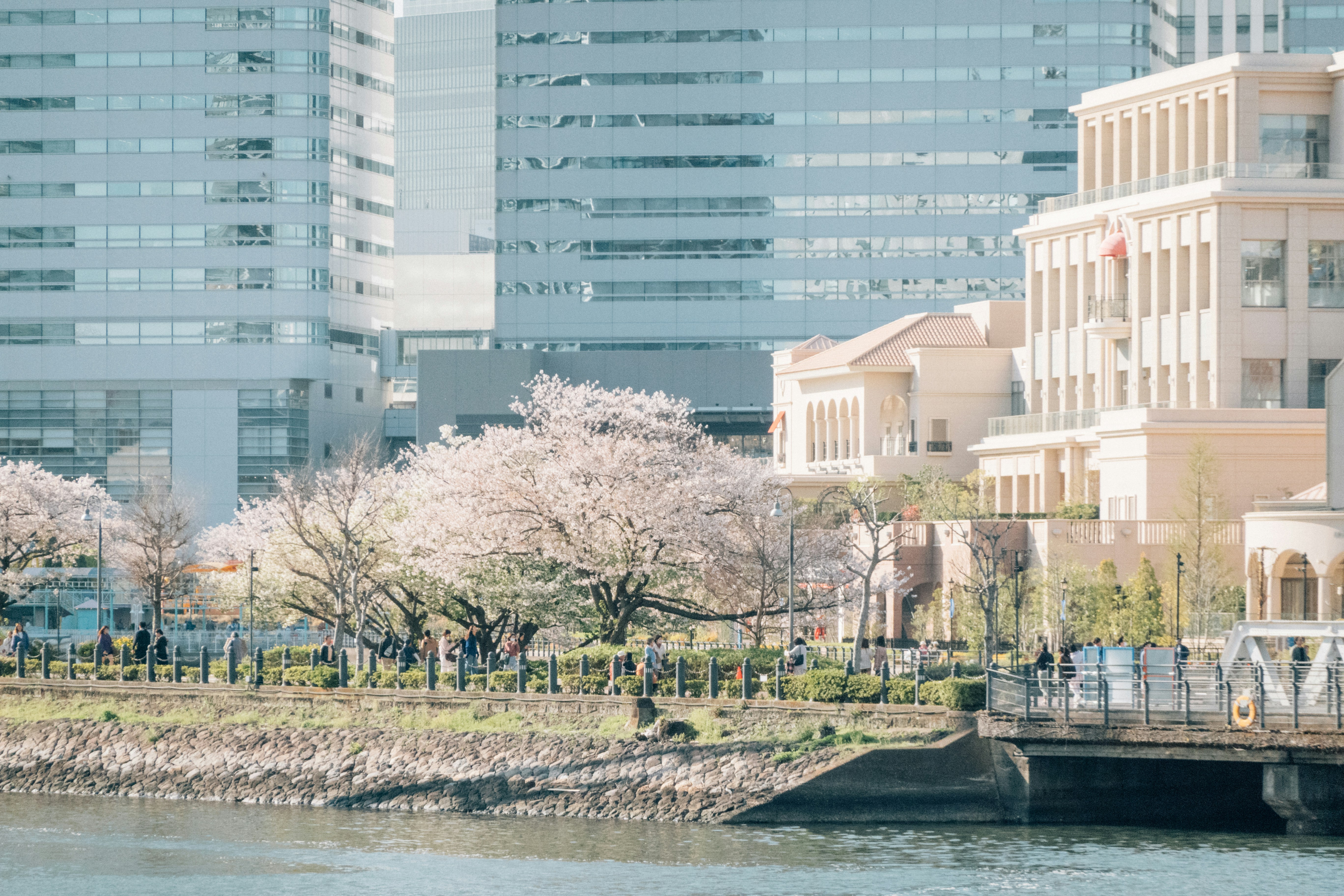 Photo by Natalie Su with Sony RX100 VII