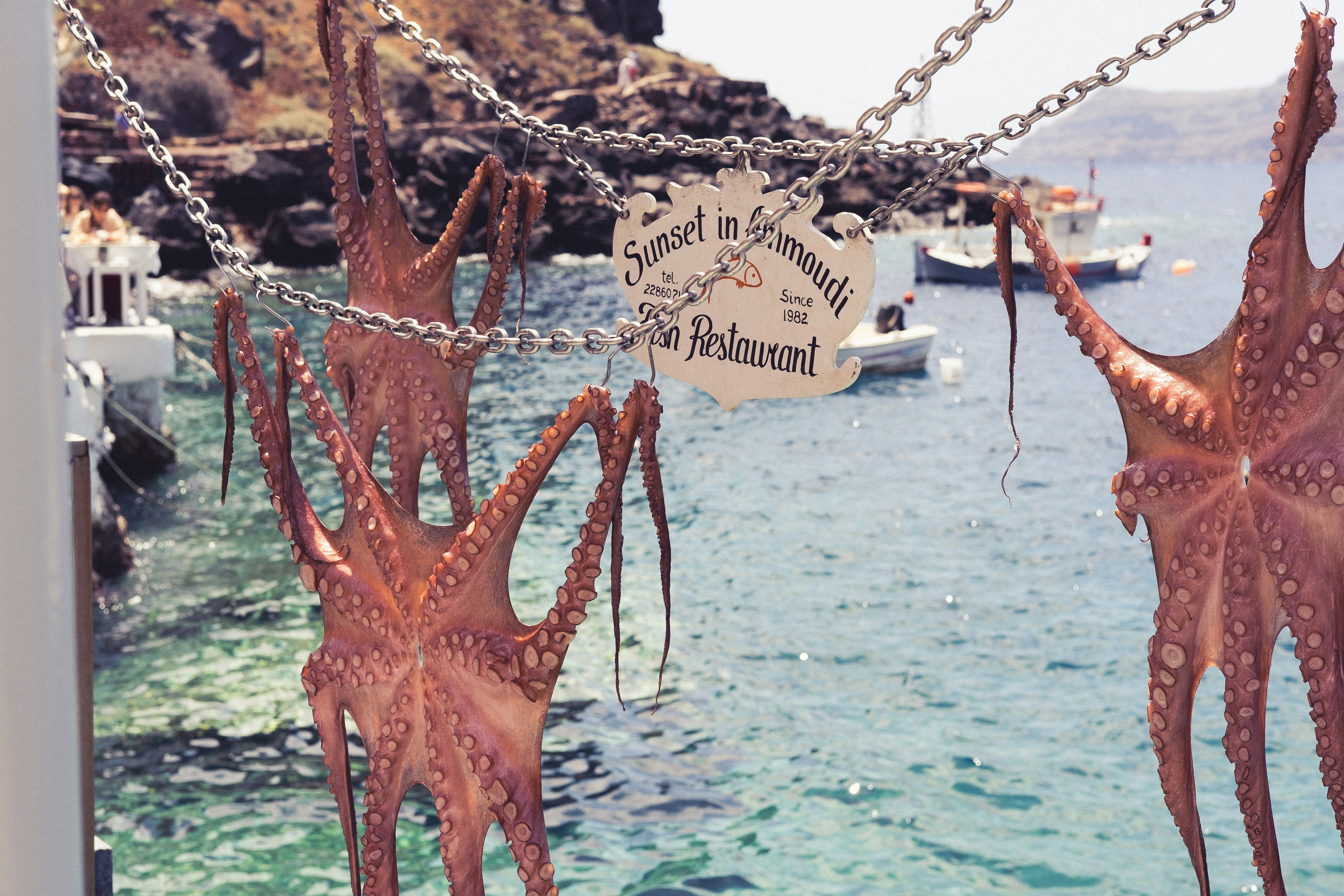 A group of octopus tentacles hanging from a chain photo – Free Octopus ...