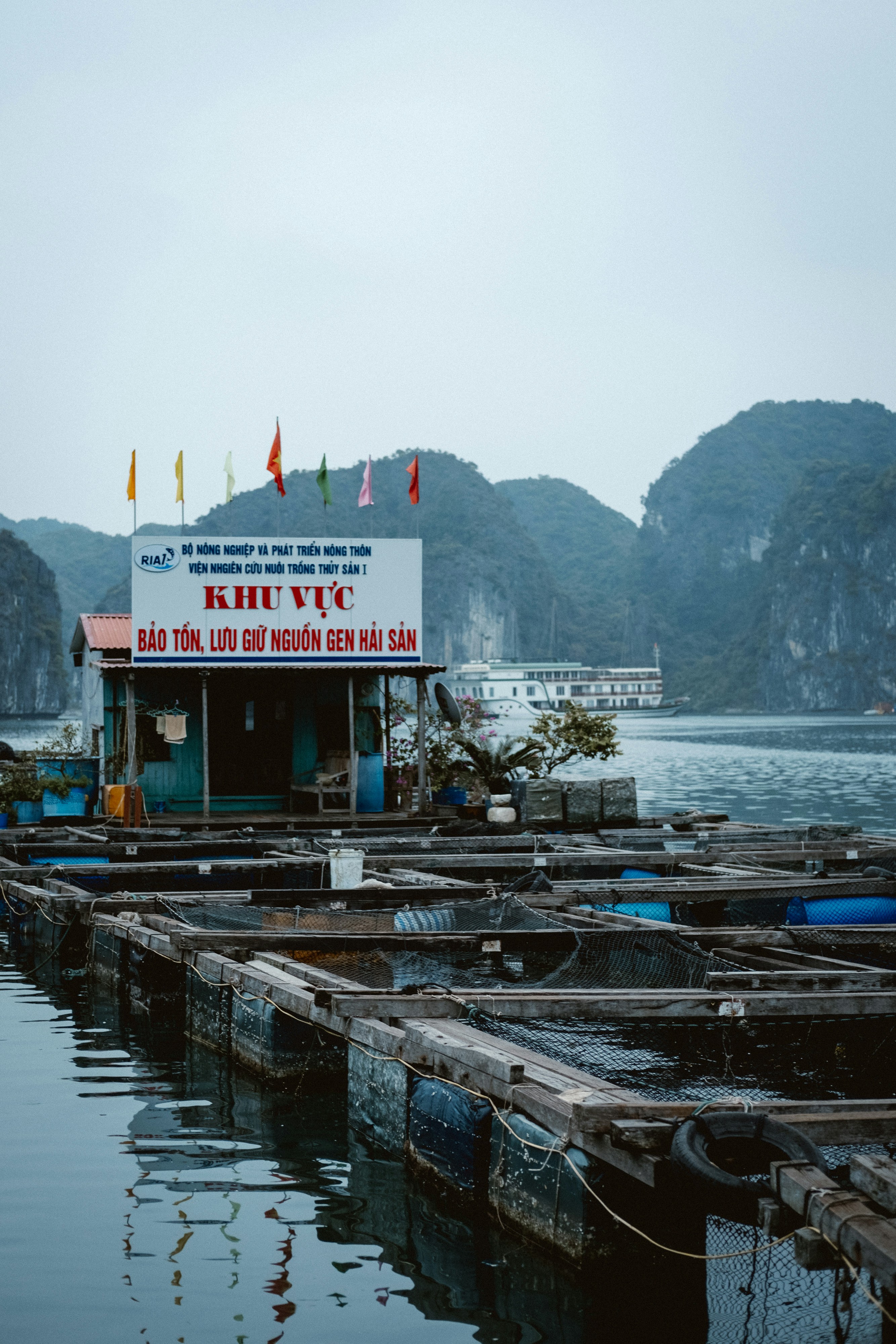 Floating Fisheries Wharf: Colorful Flags and Netted Berths Against a Mountain Backdrop
