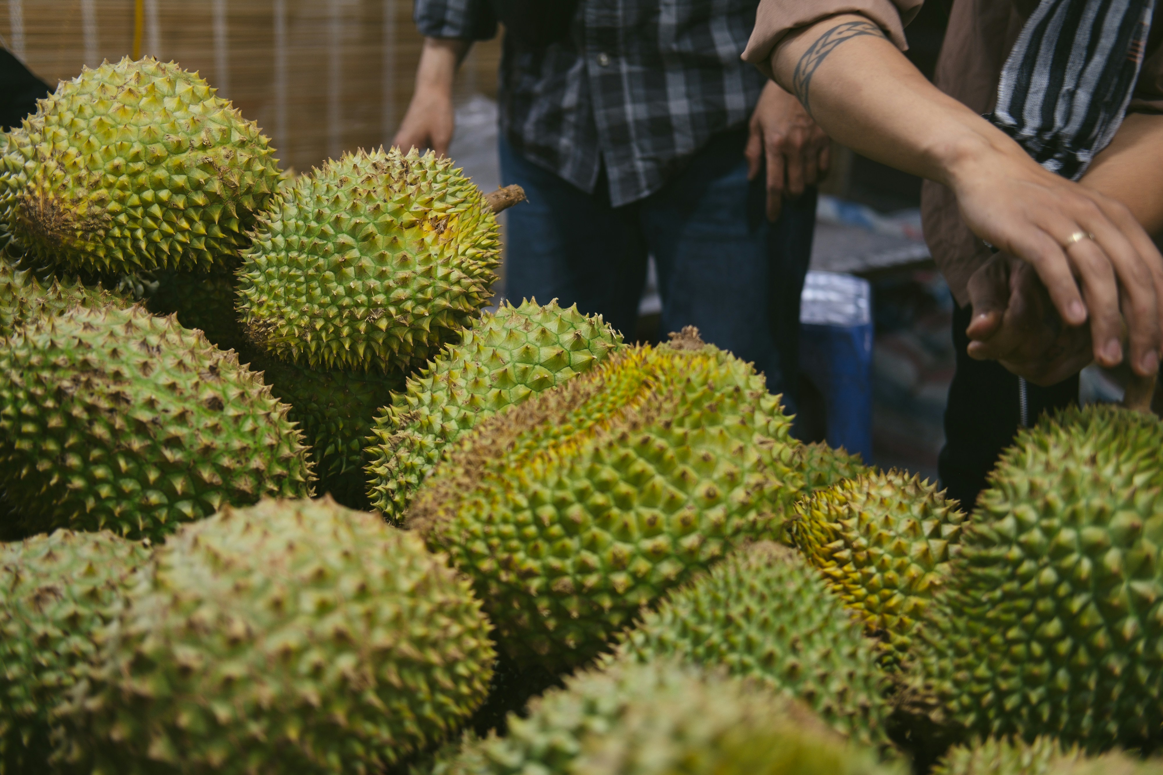A vibrant display of durians at a bustling market, showcasing their distinctive spiky exteriors and inviting textures.