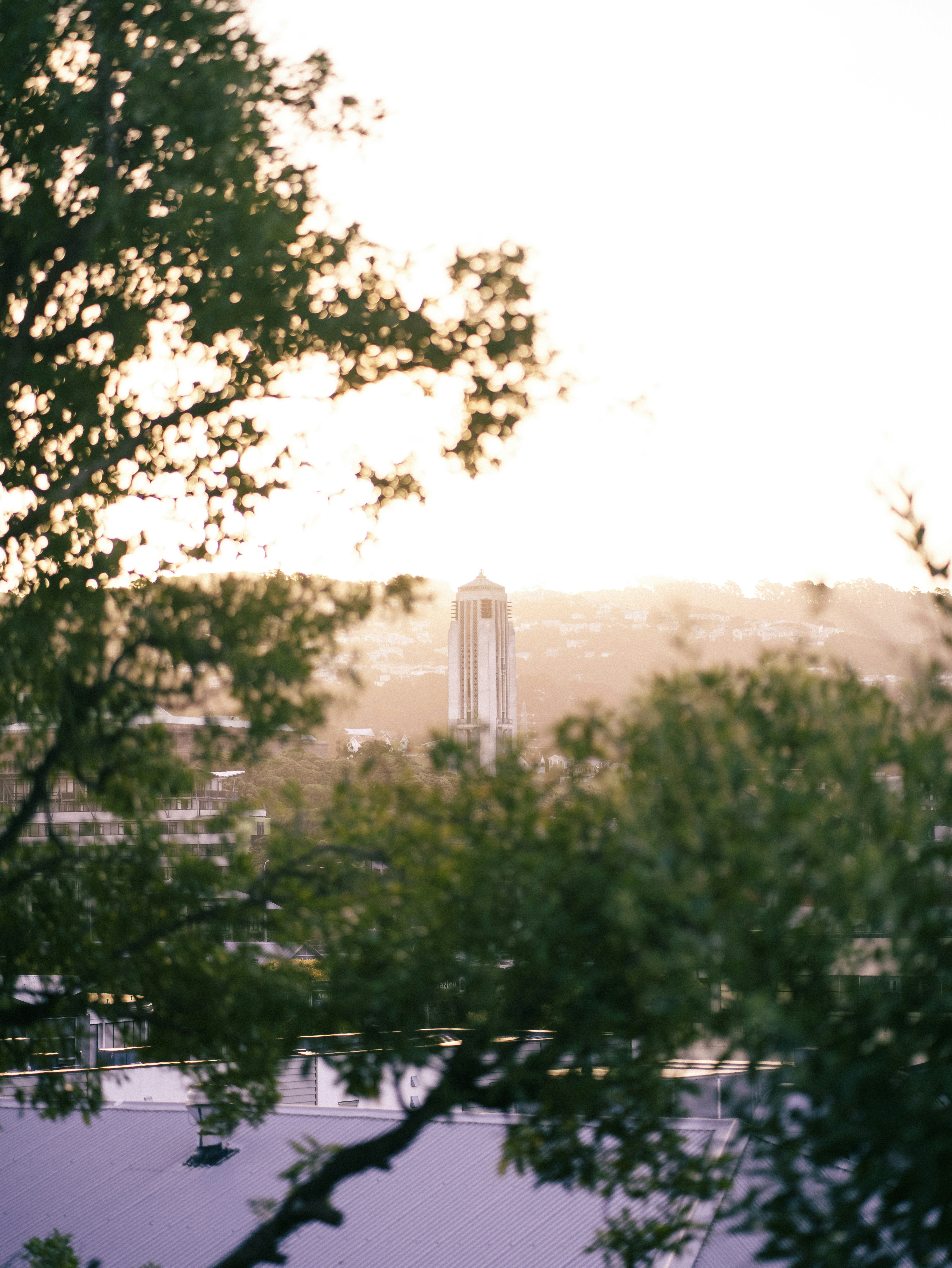 Amber Spire Rising Through a Verdant Frame