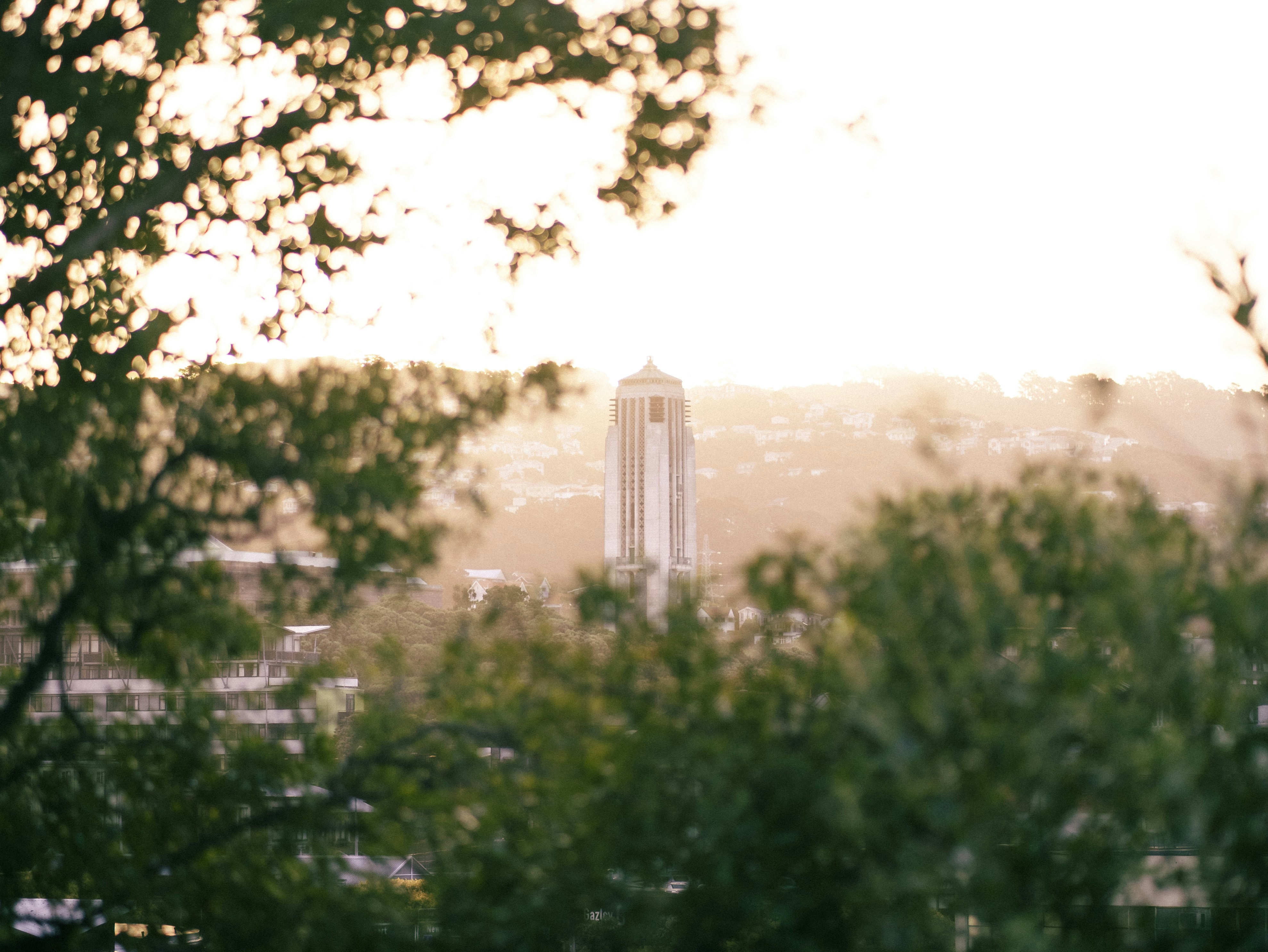 A view of a clock tower through some trees