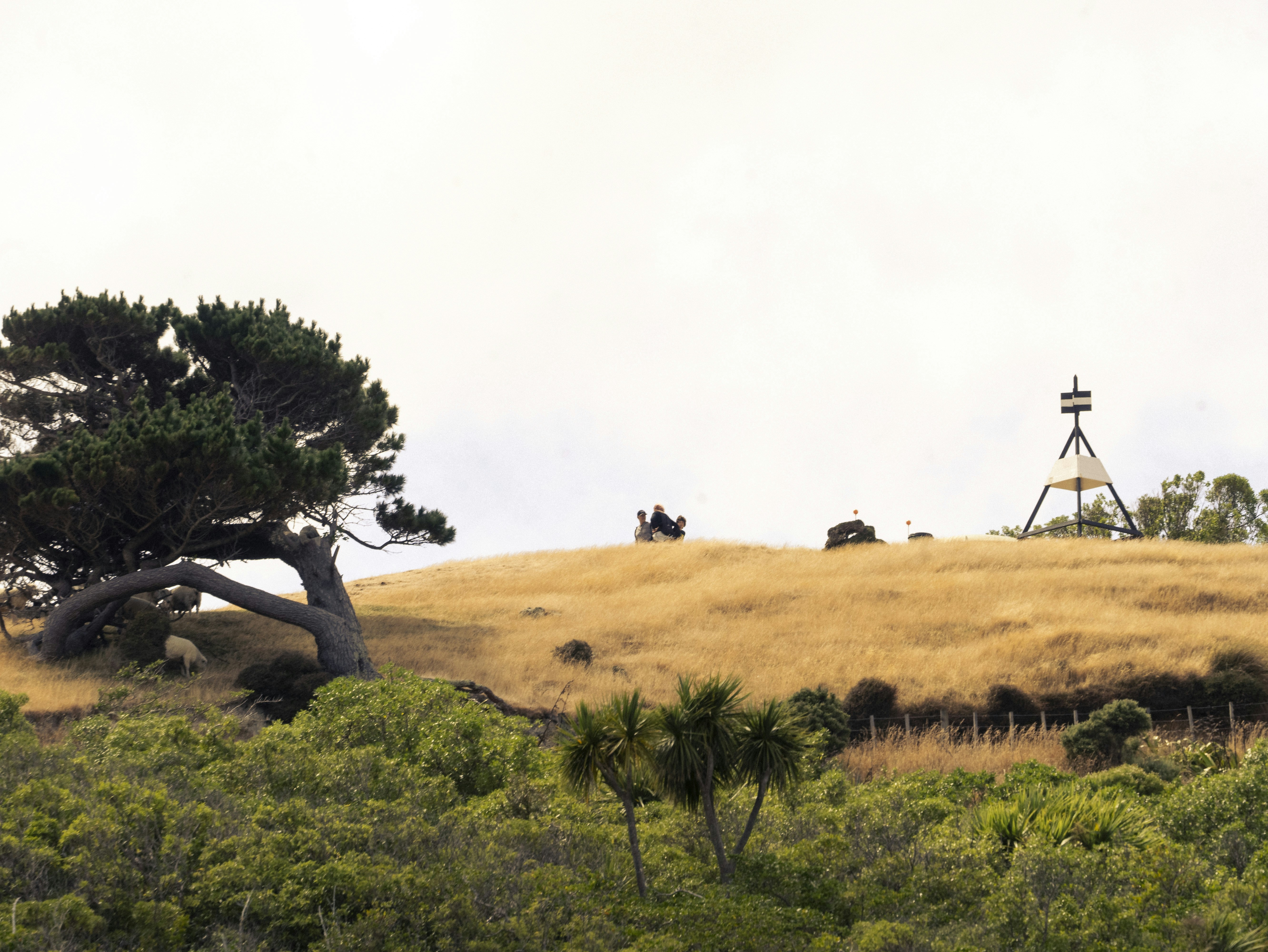Hilltop Crest: Lone Cross Over a Gilded Slope
