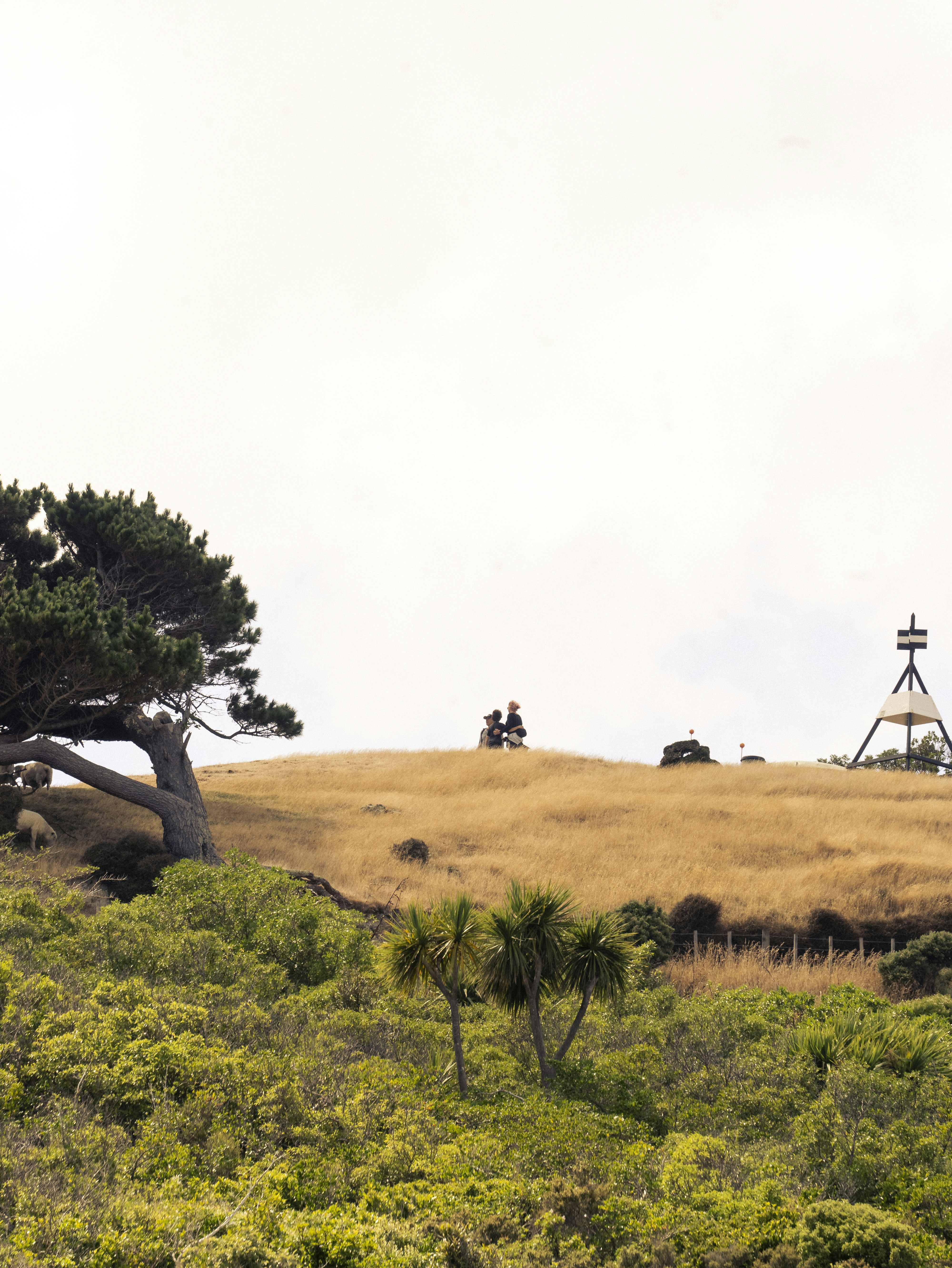 Photo by Mario Amé with Sony Alpha 7C