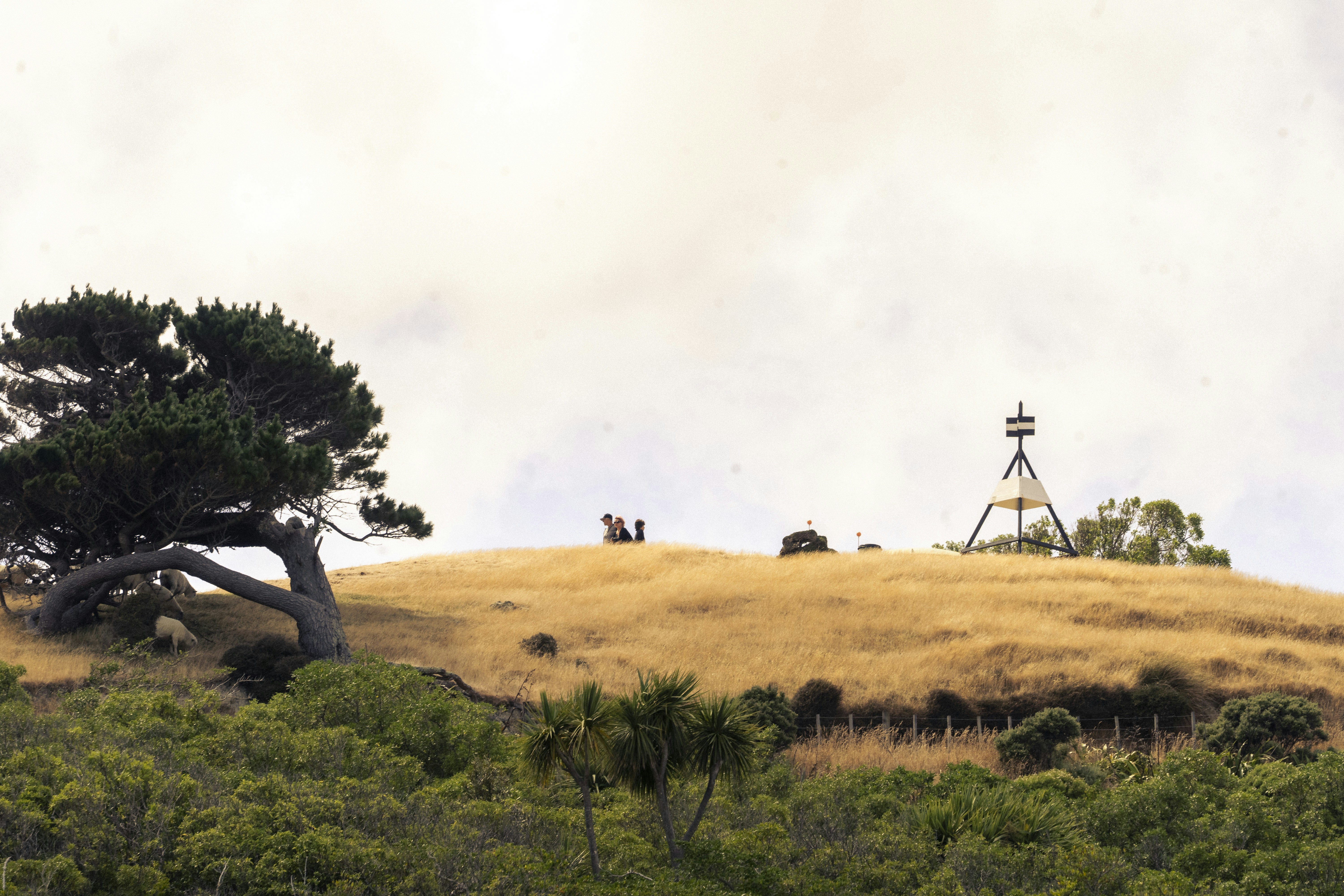 Hilltop Cross at Distant Crest: Silhouettes on a Golden Slope