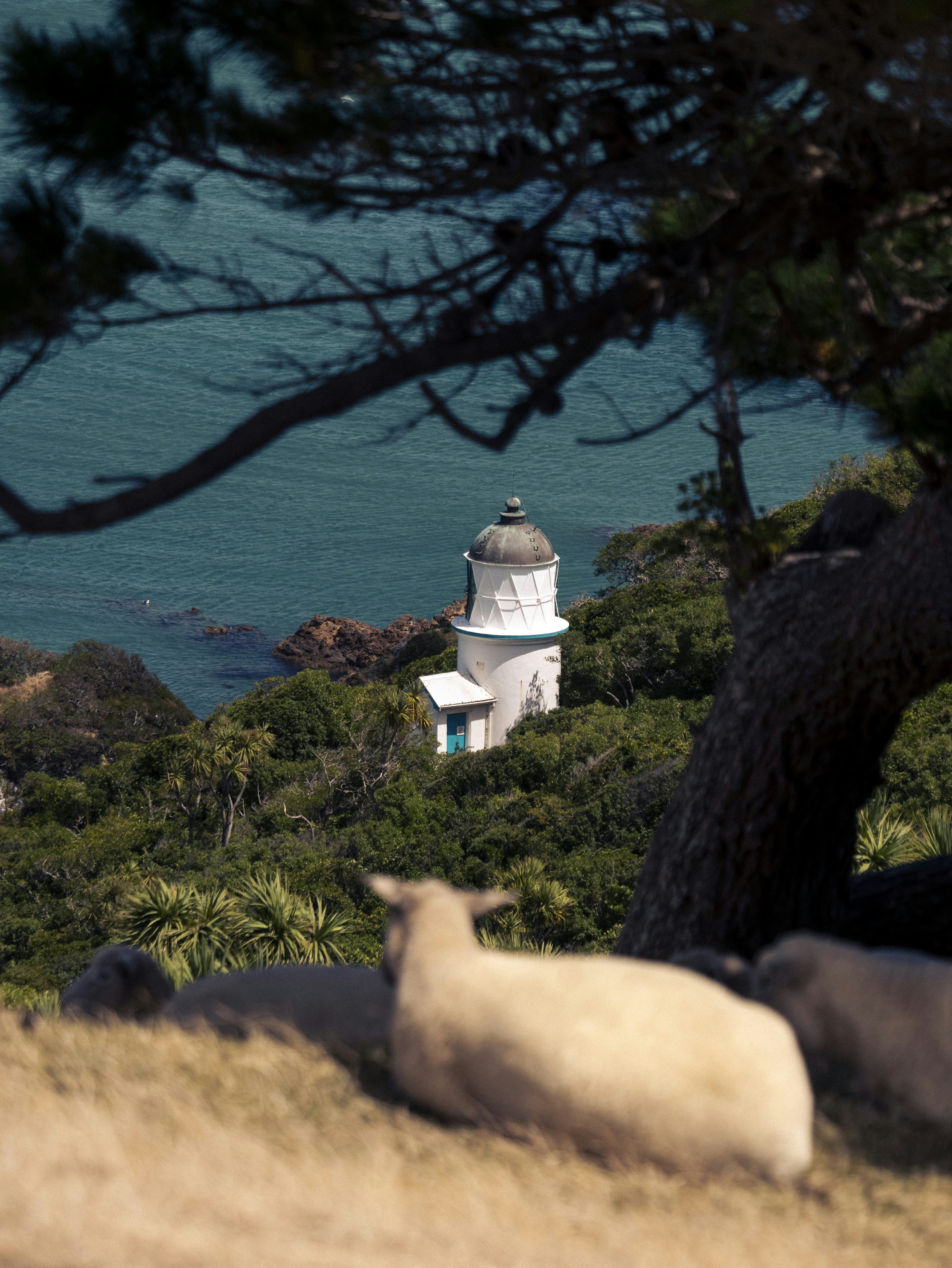 Photo by Mario Amé with Sony Alpha 7C