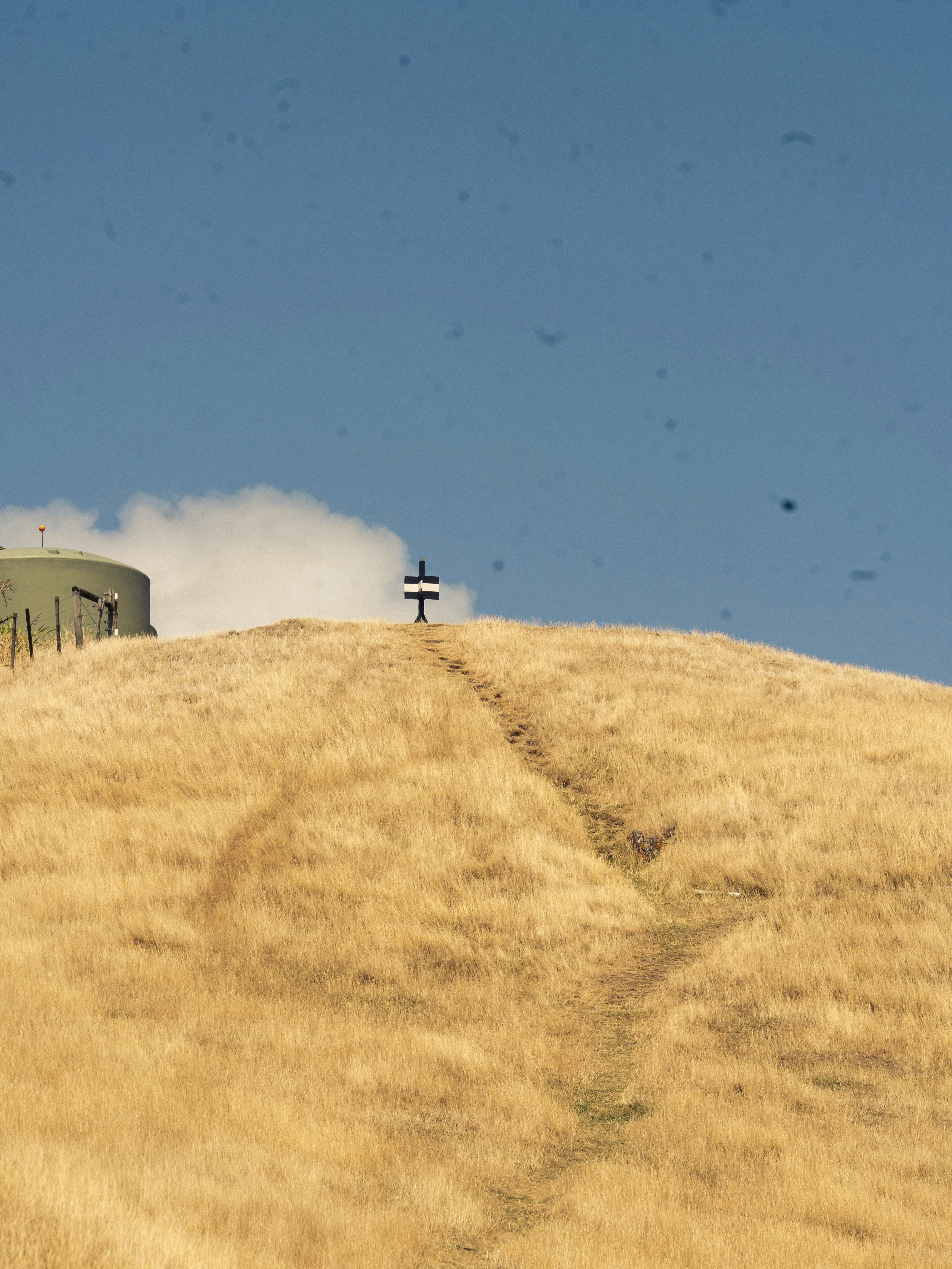 Crest Signpost on a Golden Hilltop
