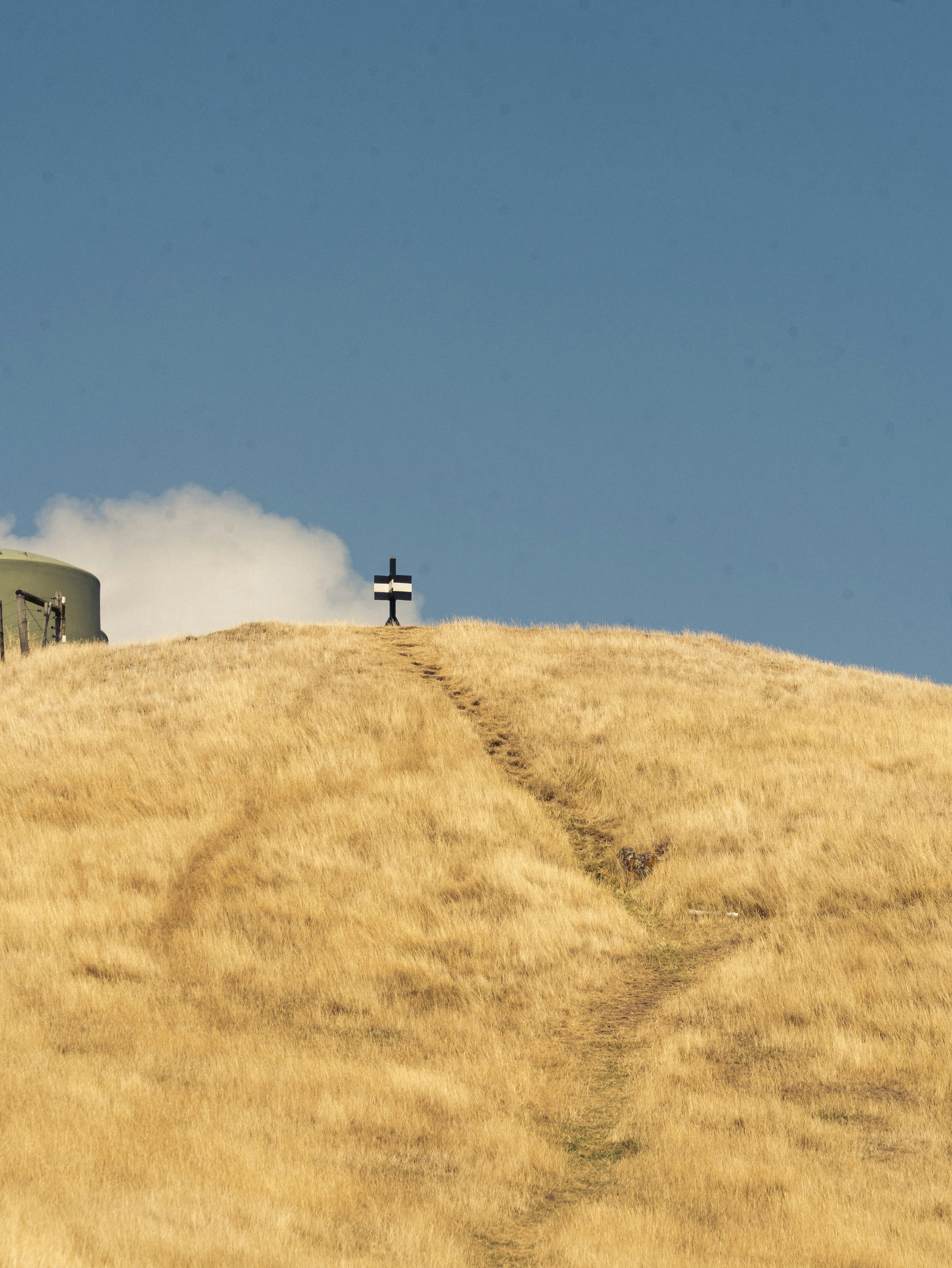 Signpost Summit: A Quiet Path Across Golden Grass