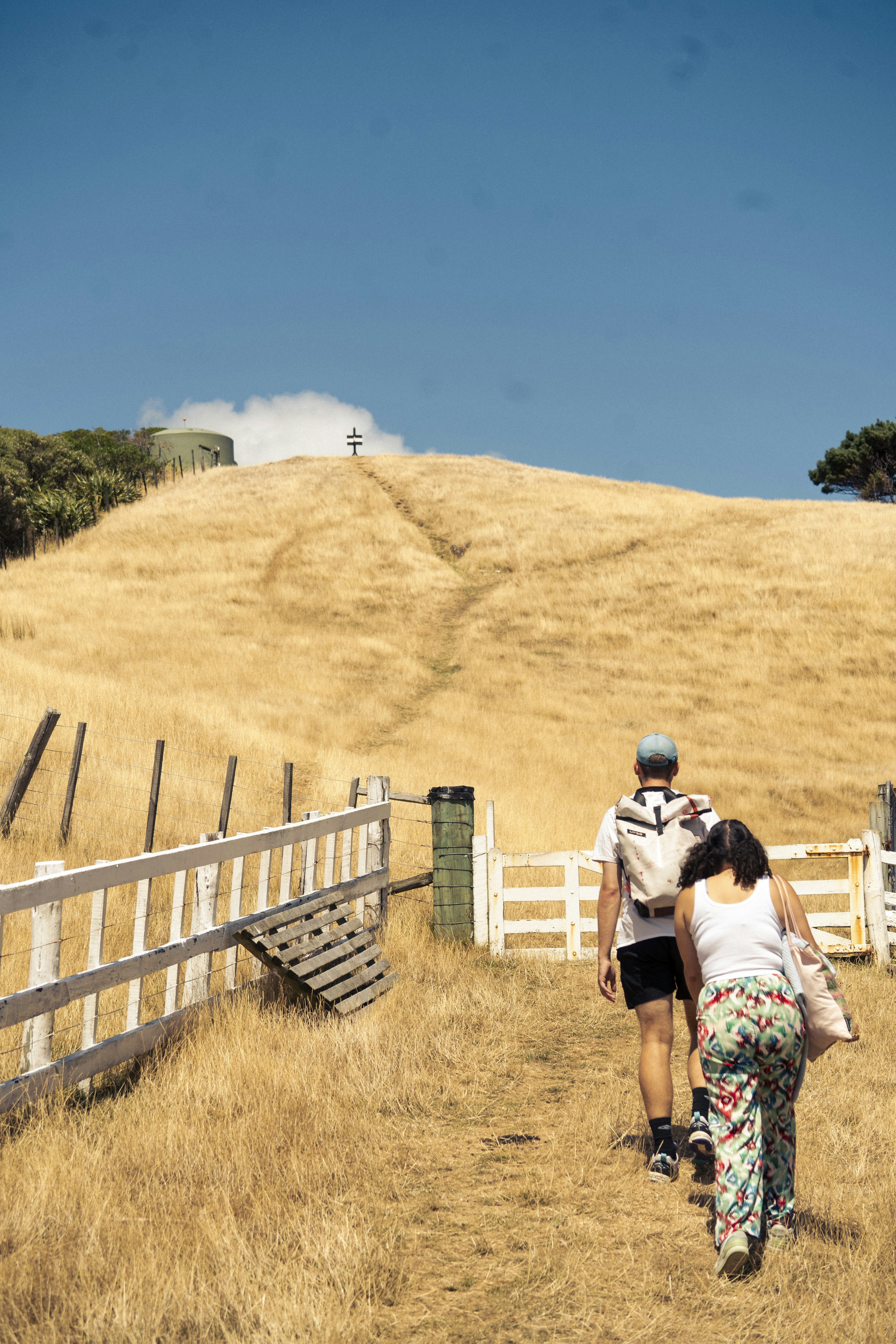 A man and a woman walking up a hill
