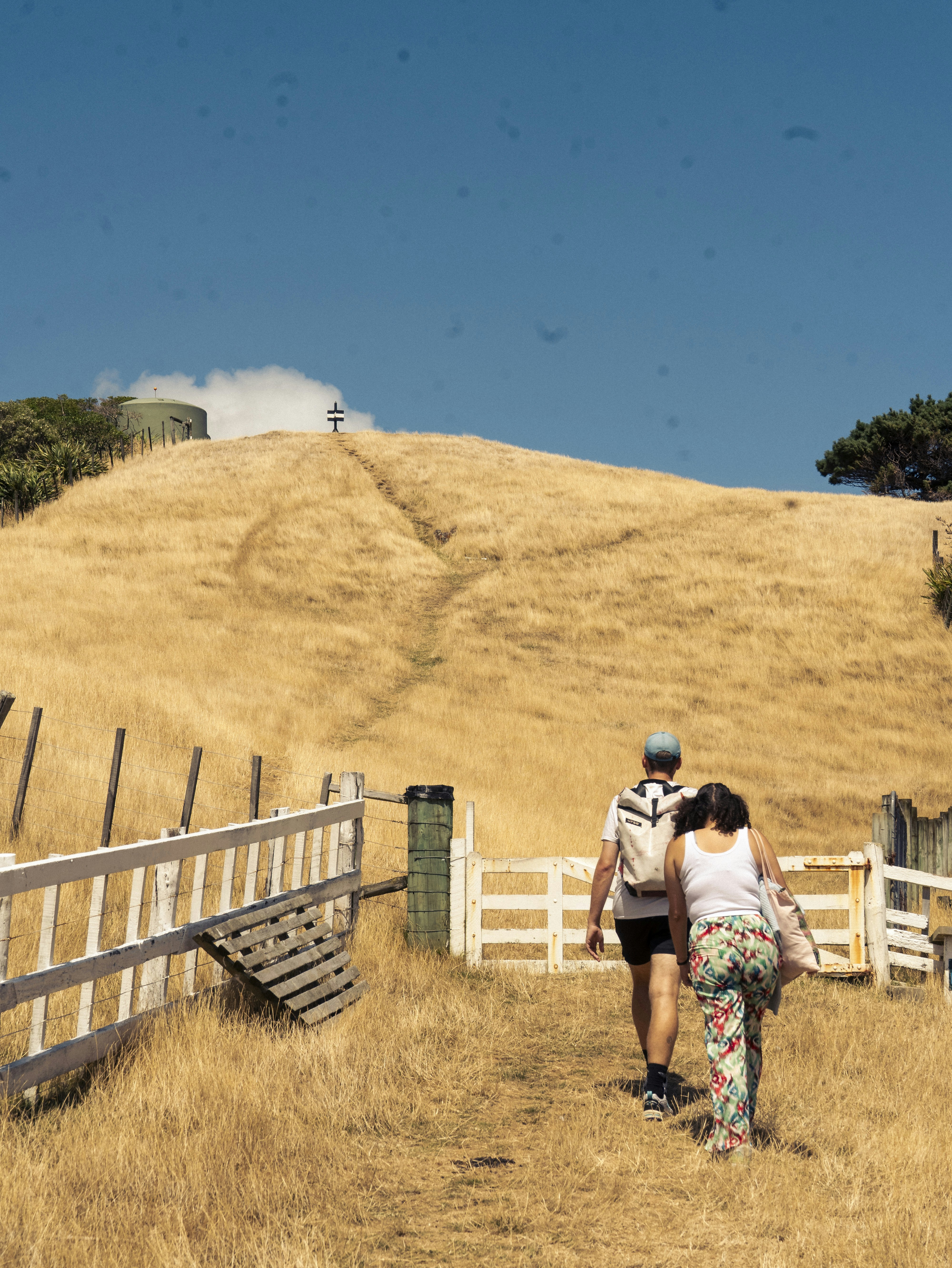 Sunlit Ascent: Two hikers along a weathered fence toward a golden hilltop