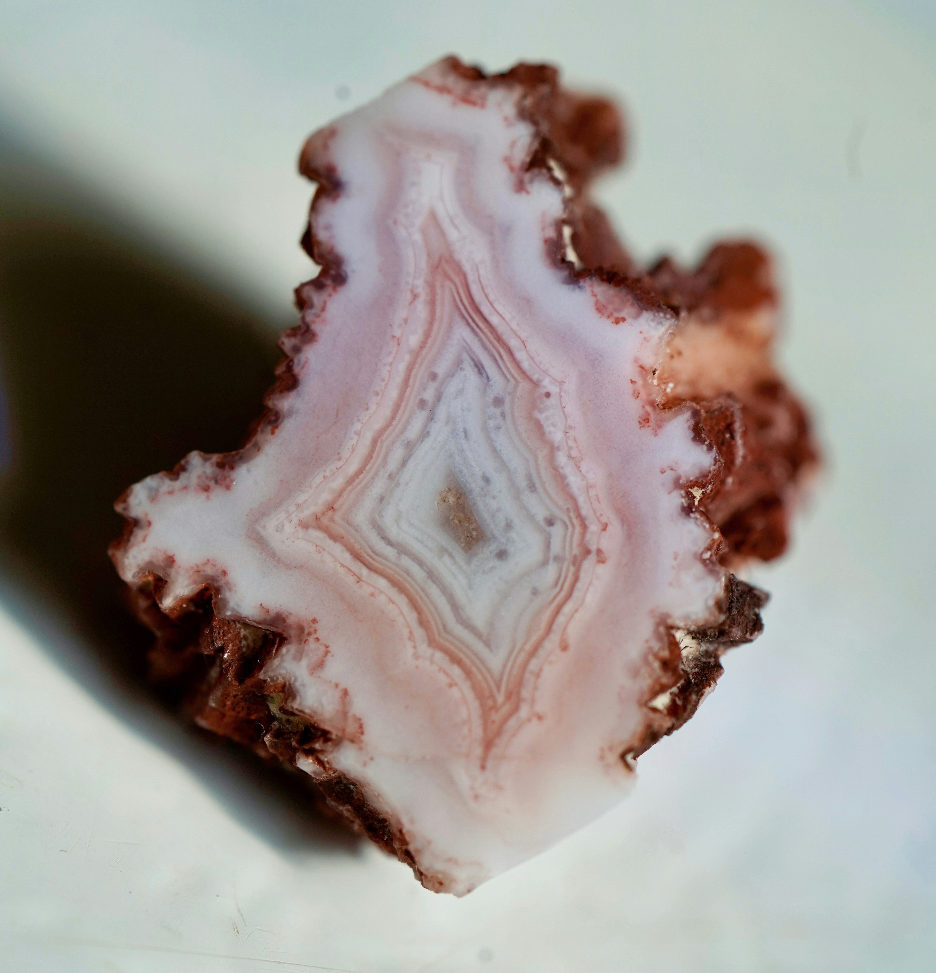 Concentric Echoes: Pink Agate Geode Slice with Rugged Rim