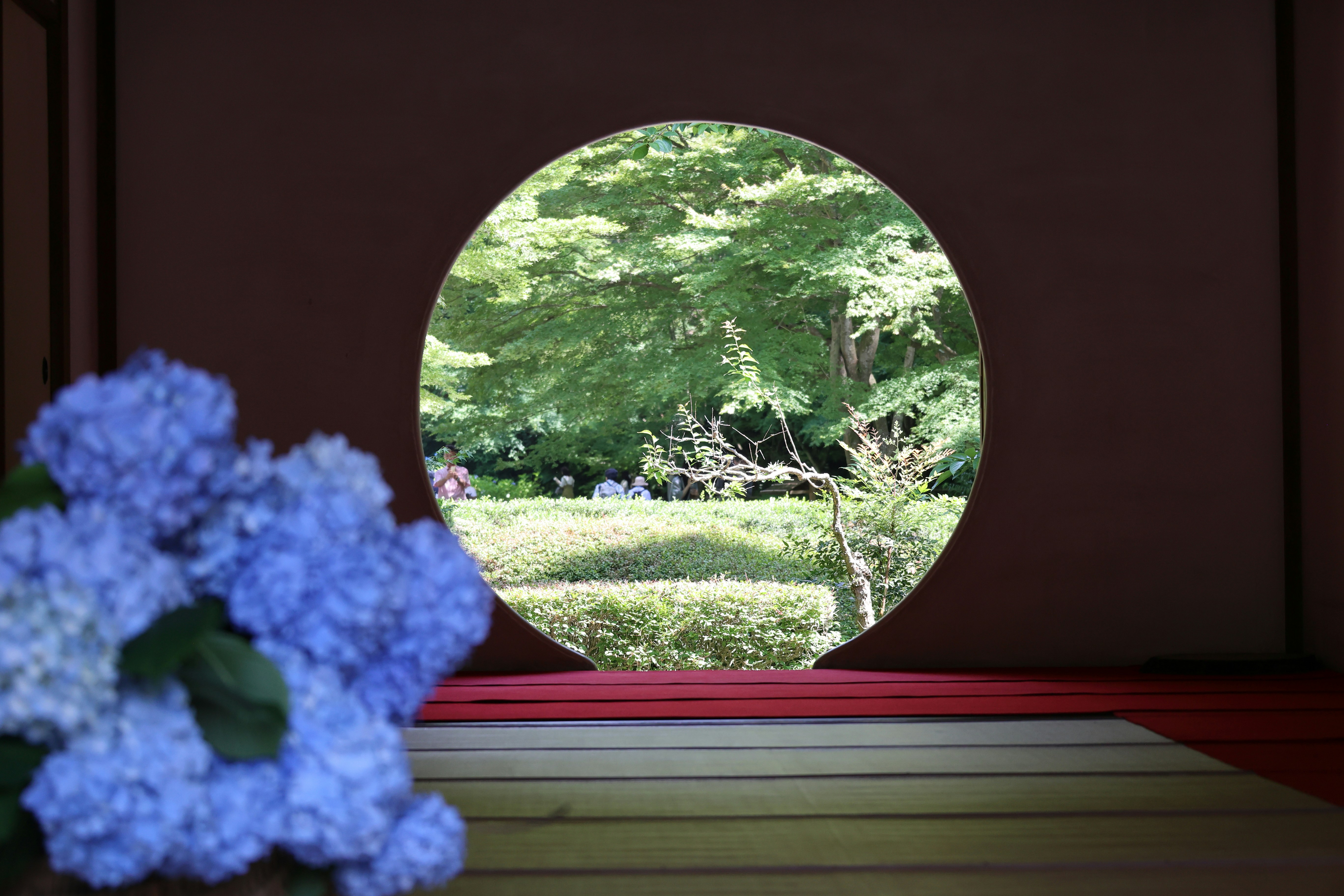 Photo by Kalyan Mukherjee with Canon EOS R6